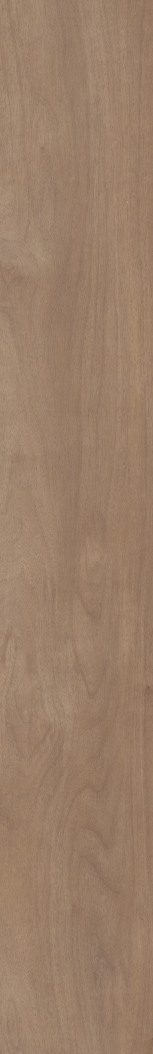 COREtec Originals - Tawny Beech - Designer's Choice