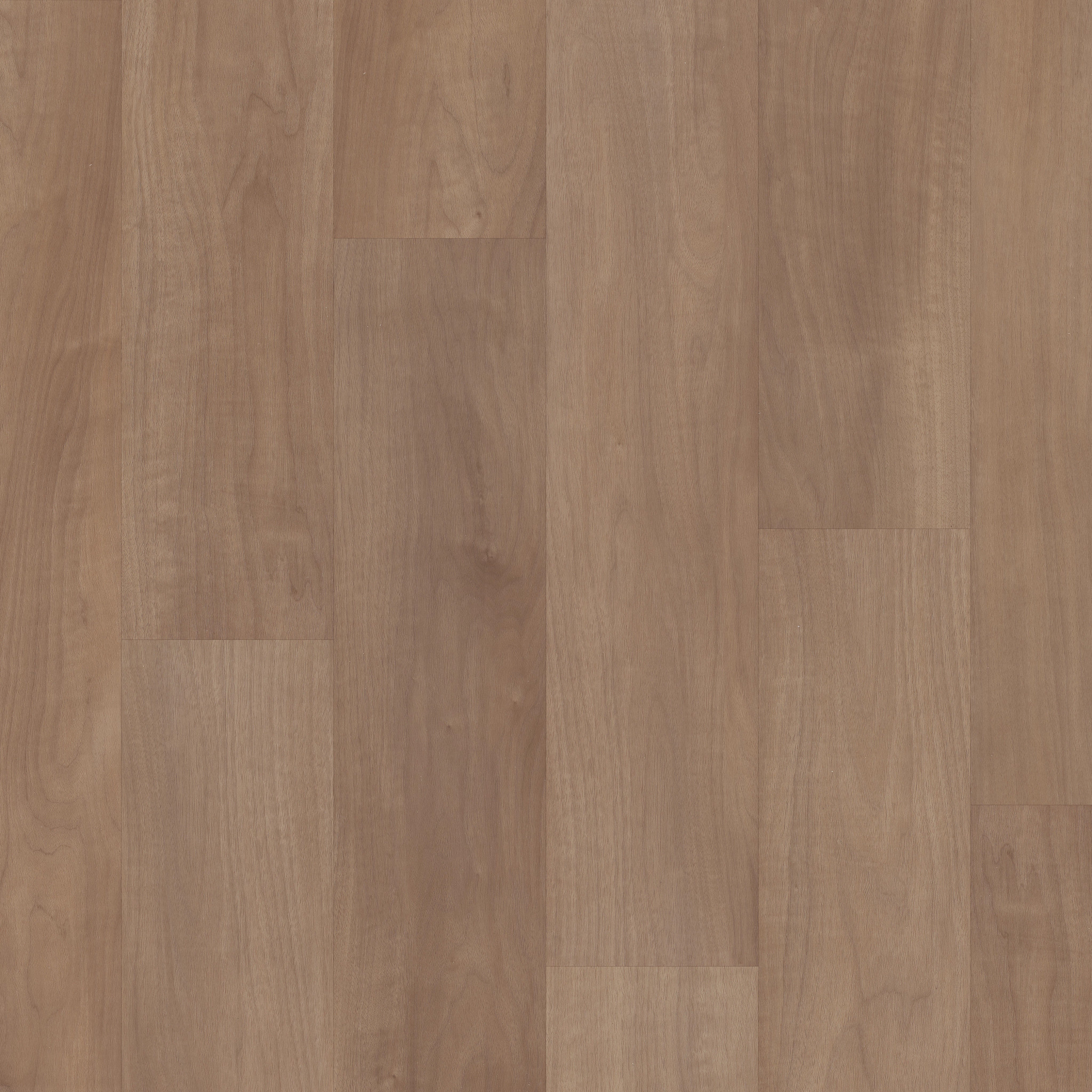 COREtec Originals - Tawny Beech - Designer's Choice