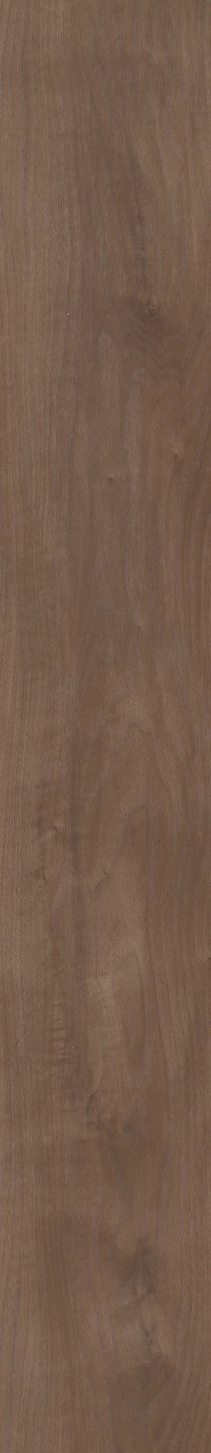 COREtec Originals - Chromatic Beech - Designer's Choice