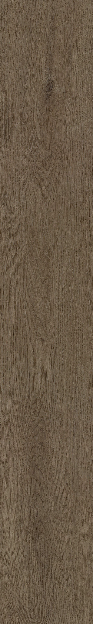COREtec Originals - Wellstead Oak - New Arrival