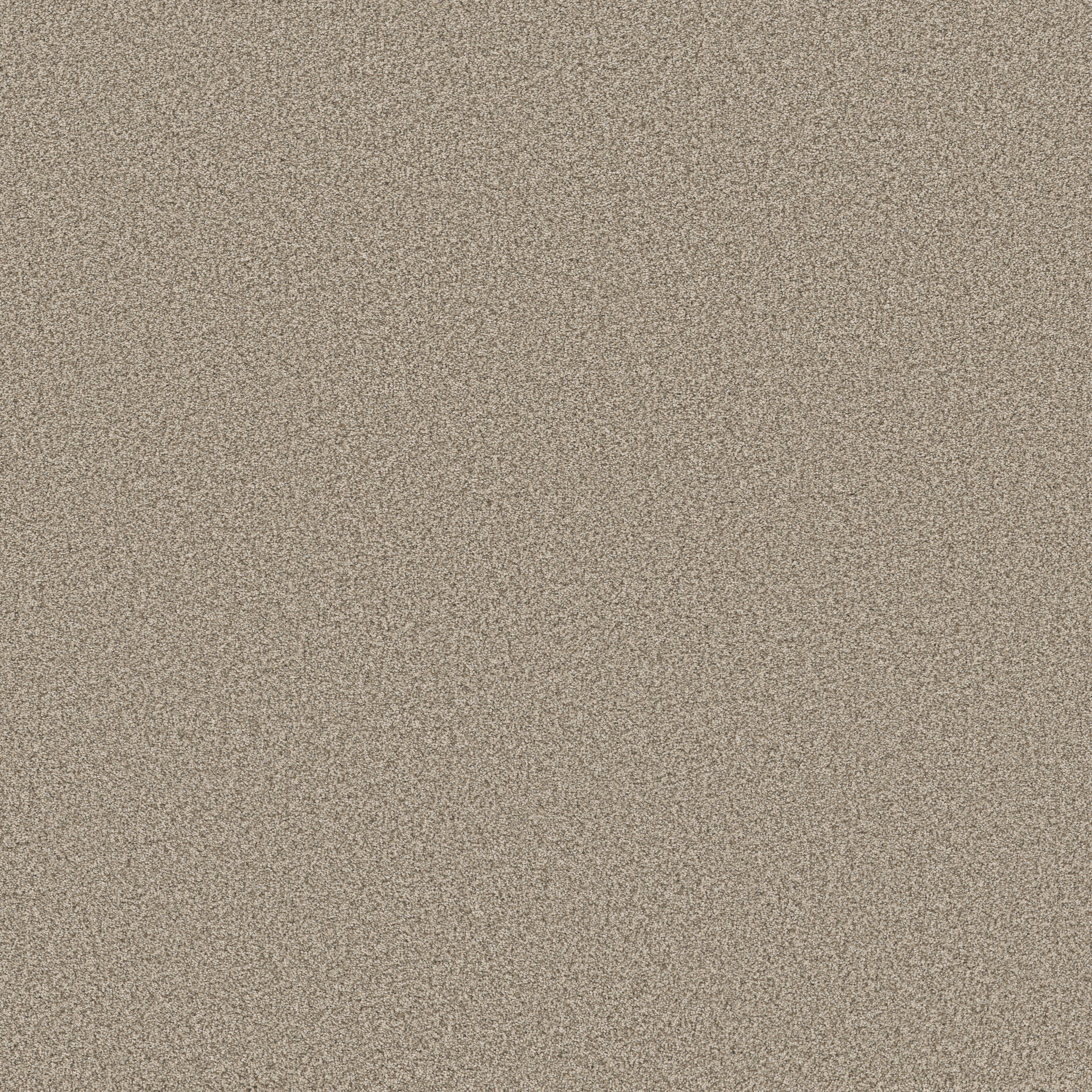 Fair Winds - white mocha | carpets | ZB279-00151 | Shaw Builder Flooring