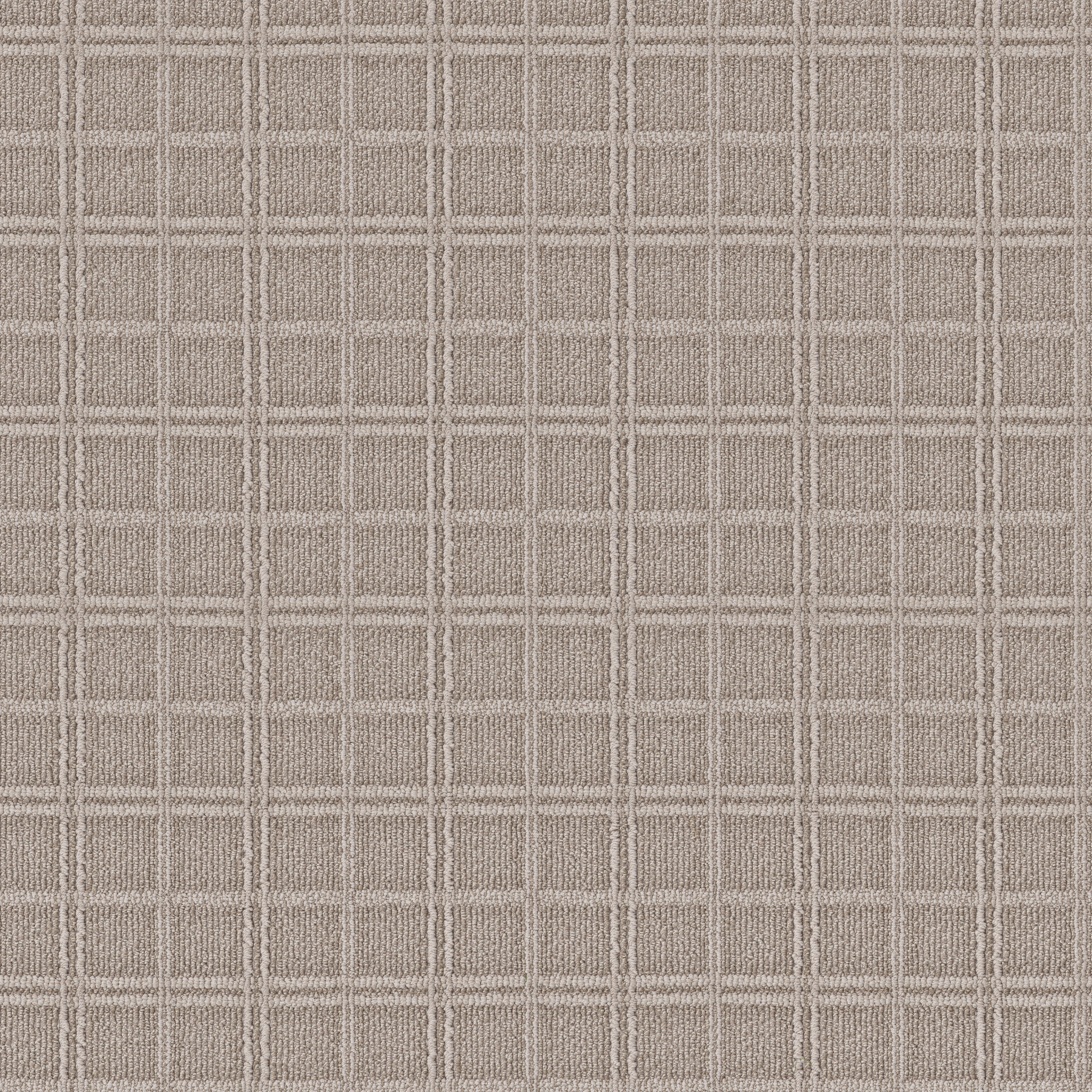 grand_image - muslin | carpets | zb291-00172 | Shaw Builder Flooring