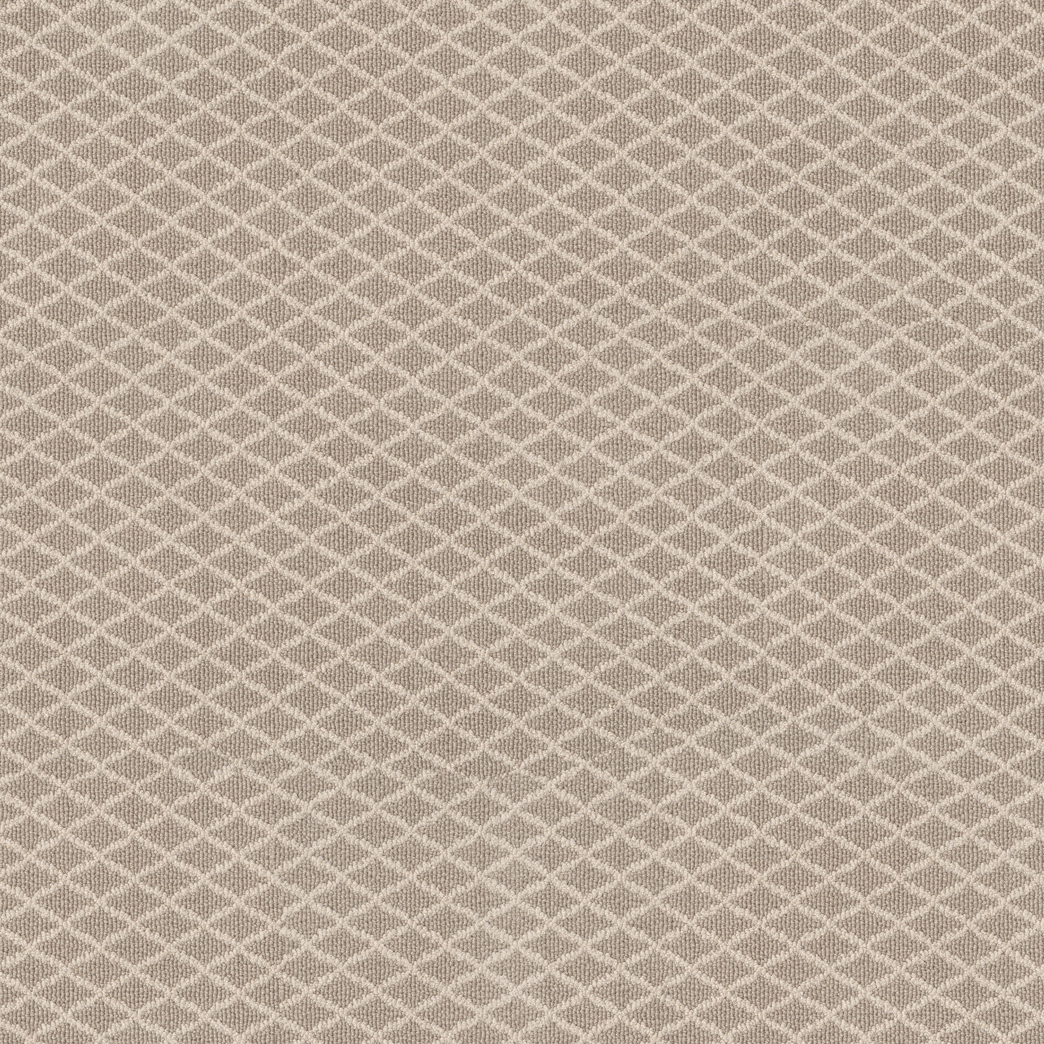 Springer'S Point - 100% ANSO® High Performance Nylon in Almond ...