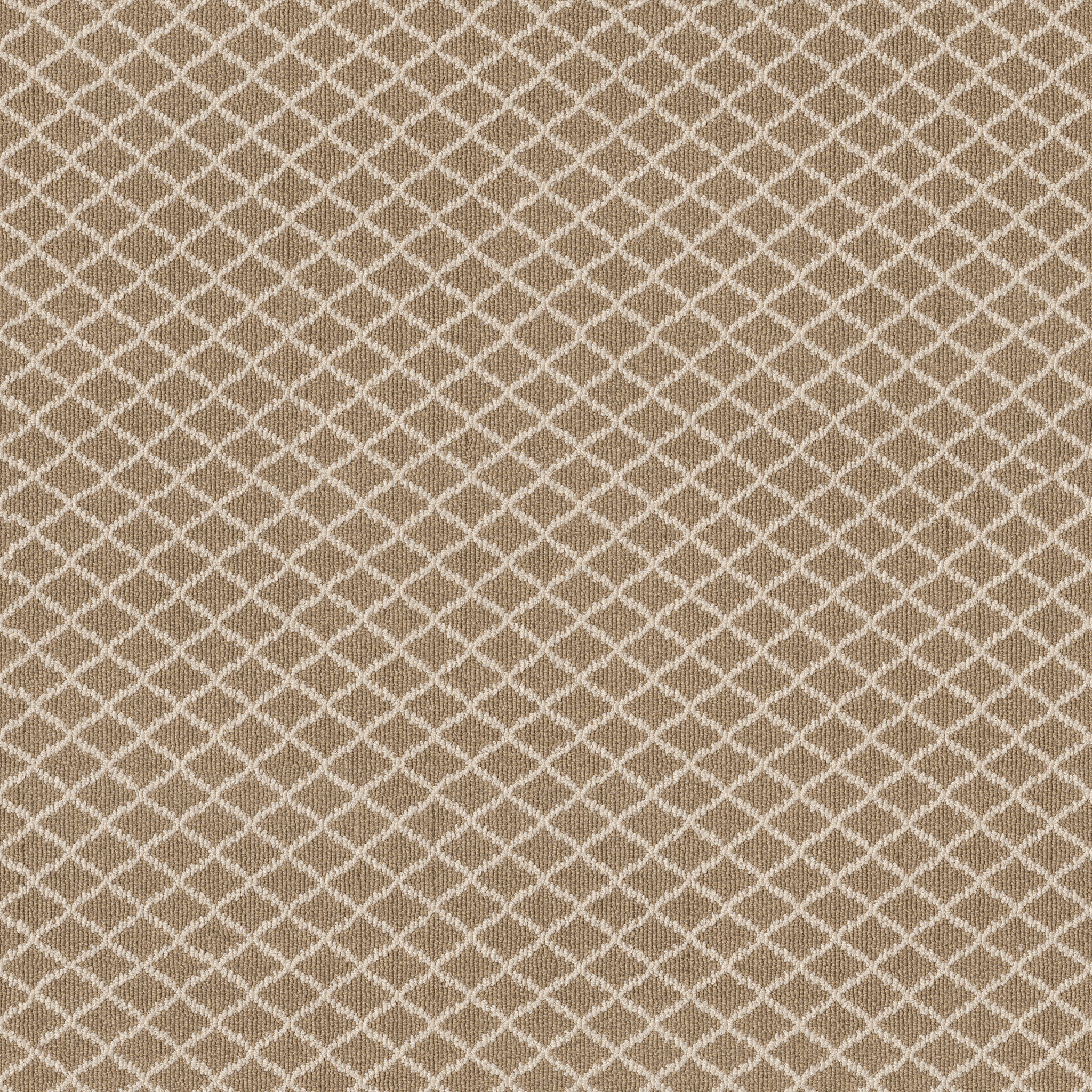 Springer'S Point - Carpet & Rugs in Twilight Gold | AndersonTuftex