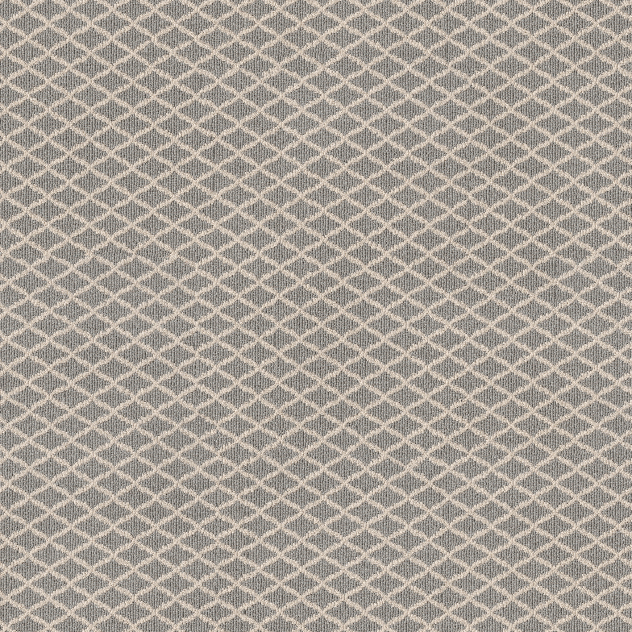 Springer'S Point - Carpet & Rugs in Iced Marble | AndersonTuftex
