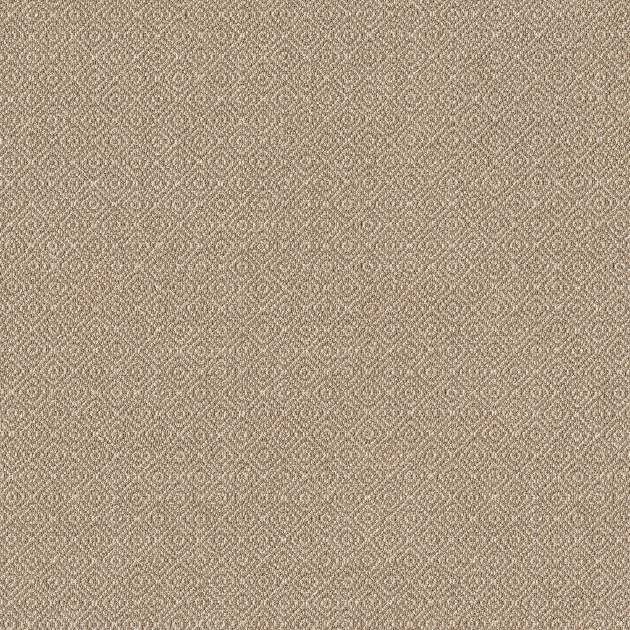 Stroll - Carpet & Rugs in Twilight Gold | AndersonTuftex