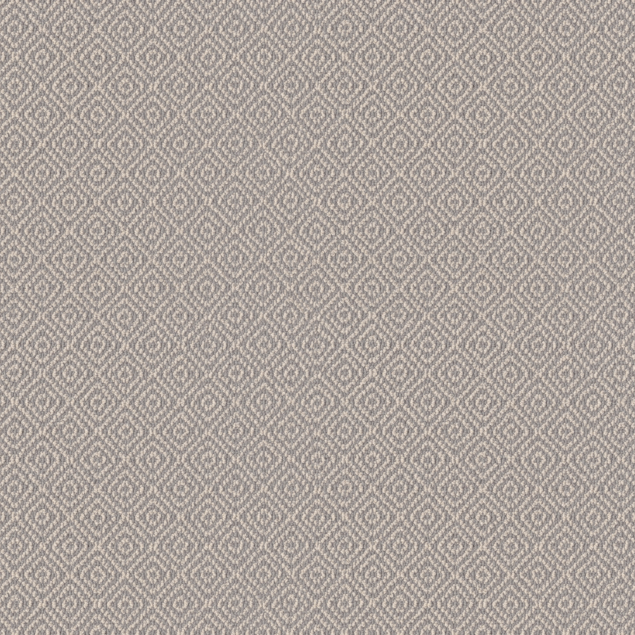Stroll - 100% ANSO® High Performance Nylon in Iced Marble | AndersonTuftex