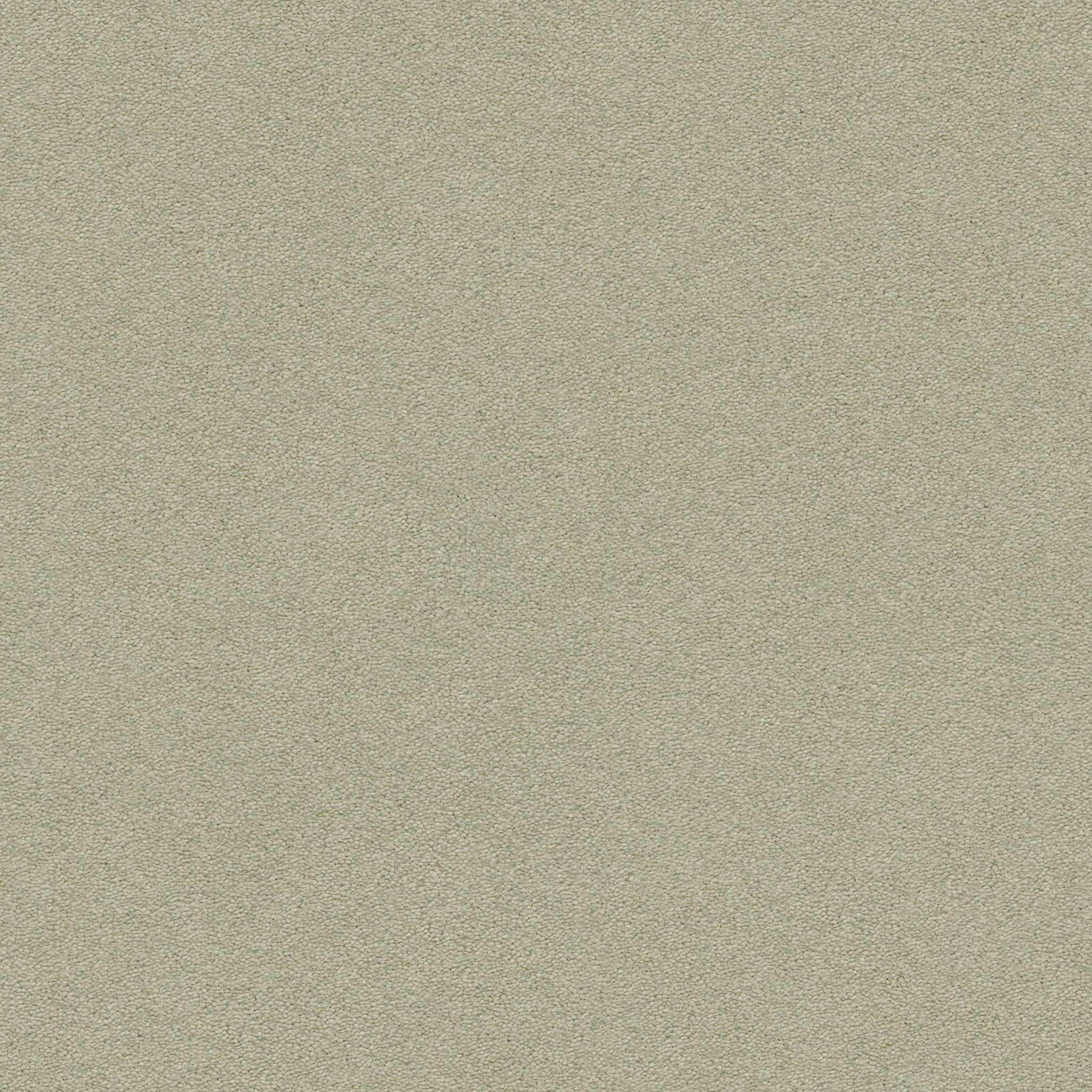 Perfect Choice - 100% ANSO® High Performance Nylon in Glen | AndersonTuftex