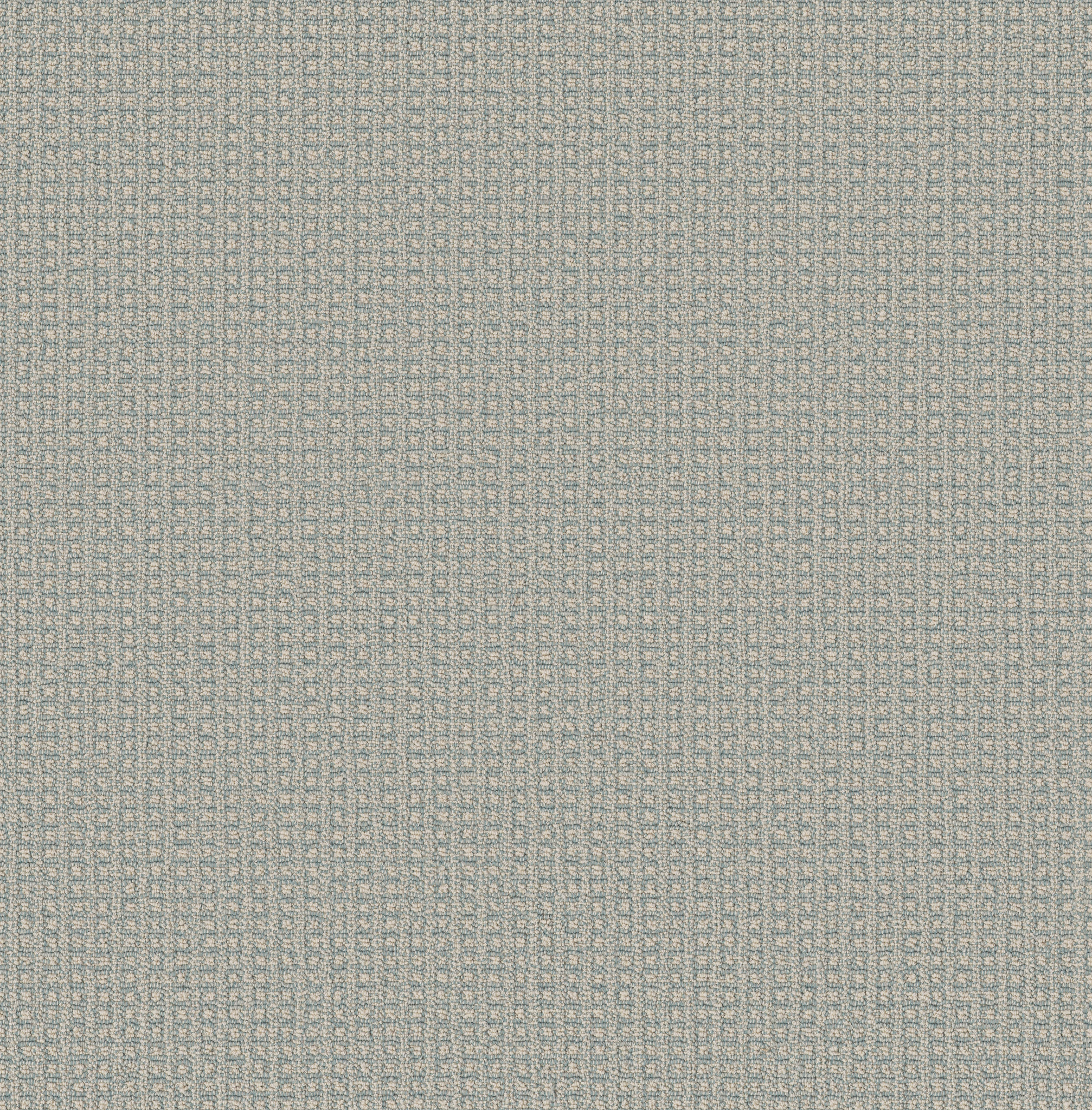 Fetch - 100% ANSO® High Performance Nylon in Surf Spray | AndersonTuftex