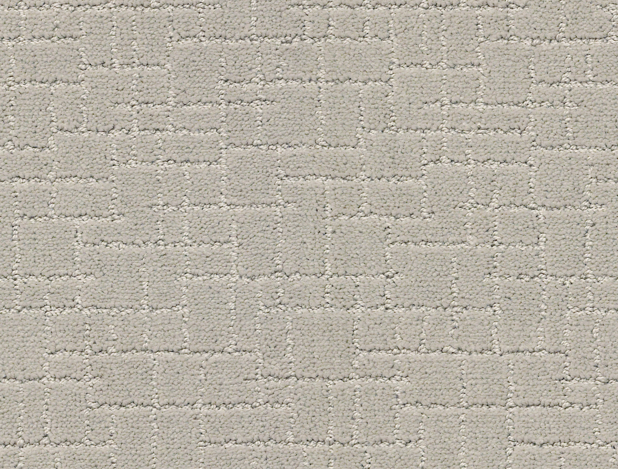 Faux Paw - 100% ANSO® High Performance Nylon in Calm | AndersonTuftex