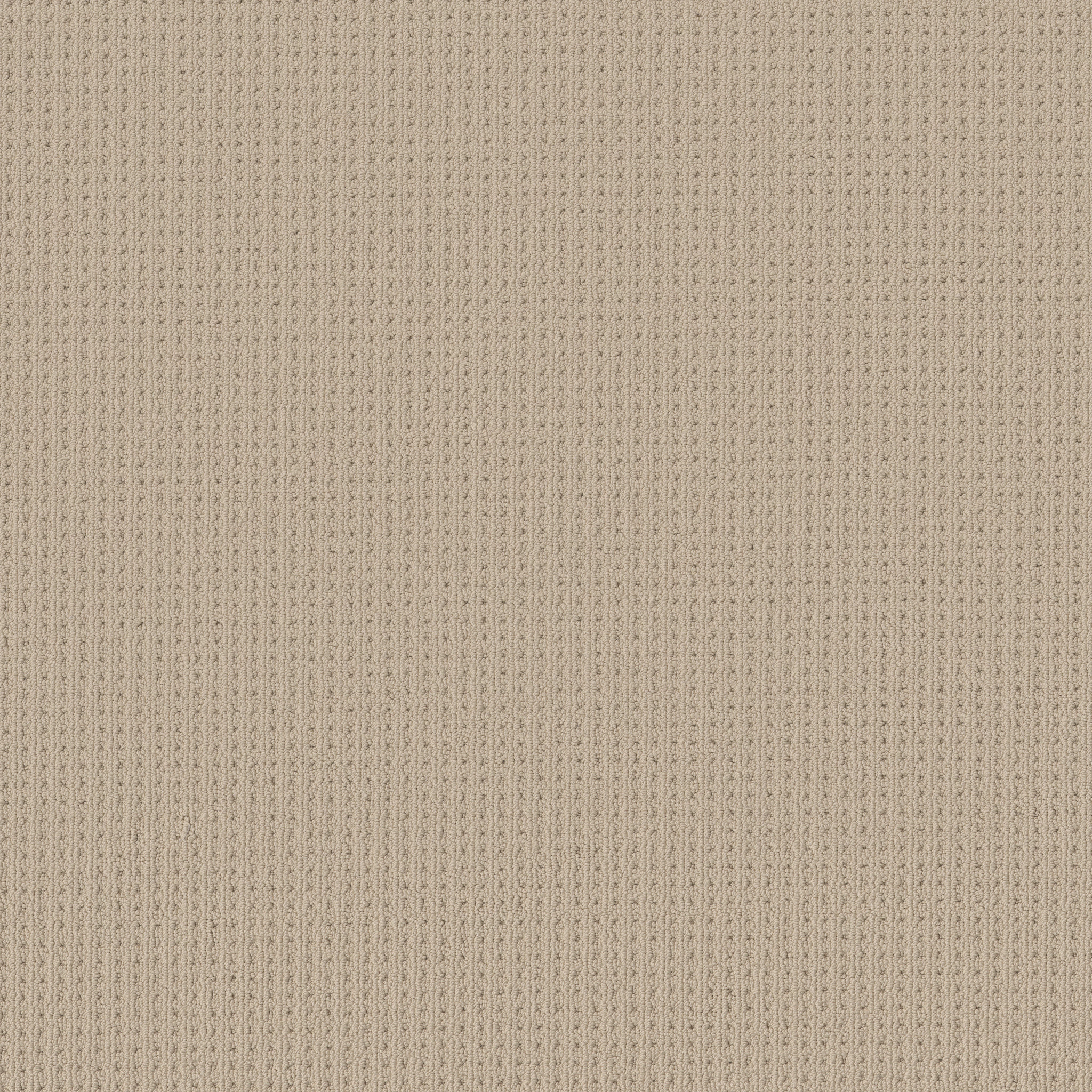 San Lucas - 100% Nylon in Biscuit | AndersonTuftex