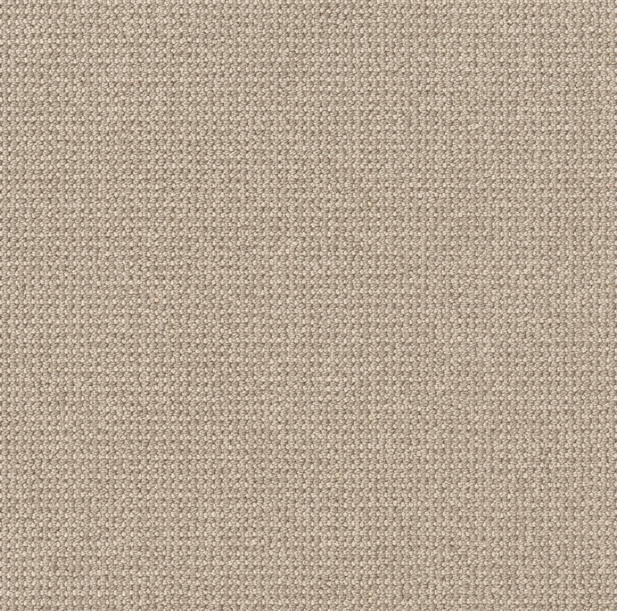 Purrfection - Carpet for Stairs in Champagne | AndersonTuftex