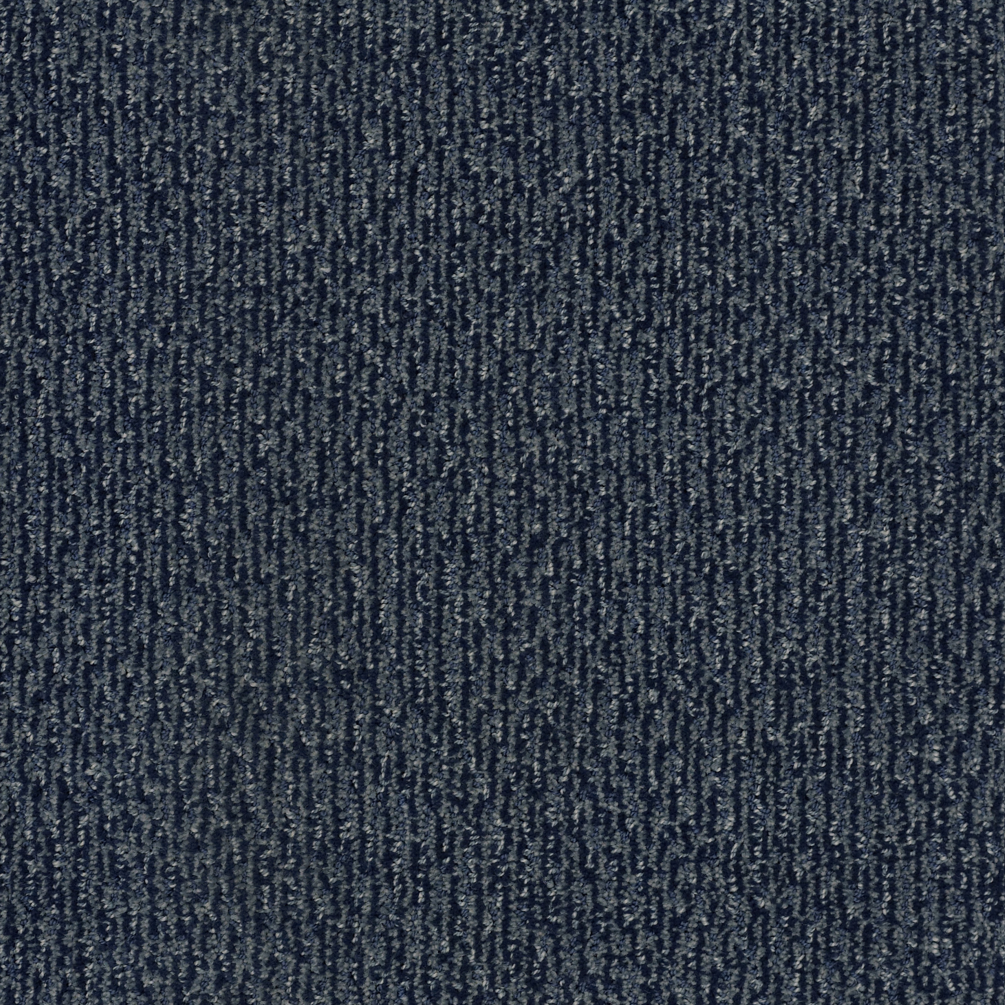 Fur-Ever - 100% ANSO® High Performance Nylon in Hale Navy | AndersonTuftex