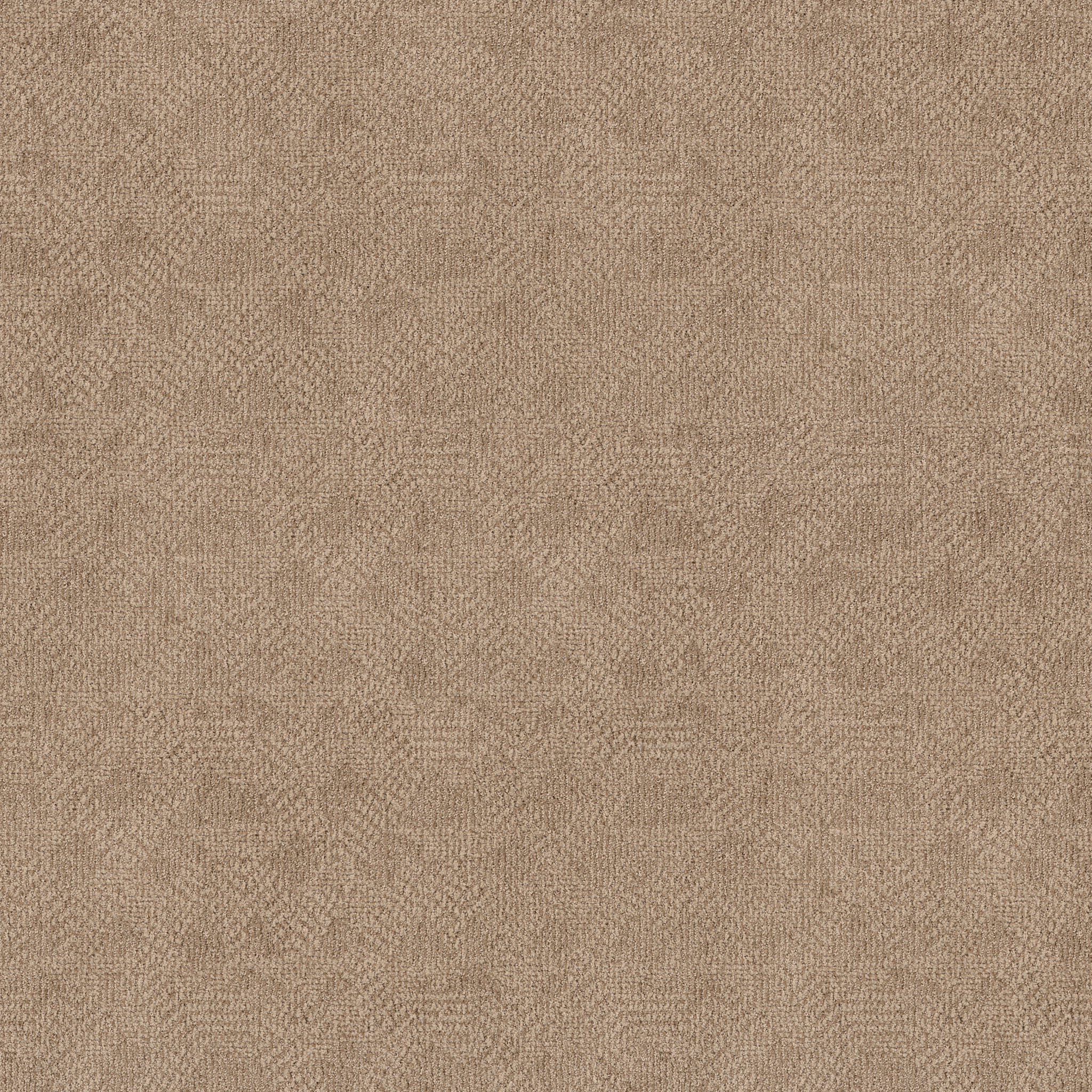 Ario - Carpet & Rugs in Twilight Gold | AndersonTuftex