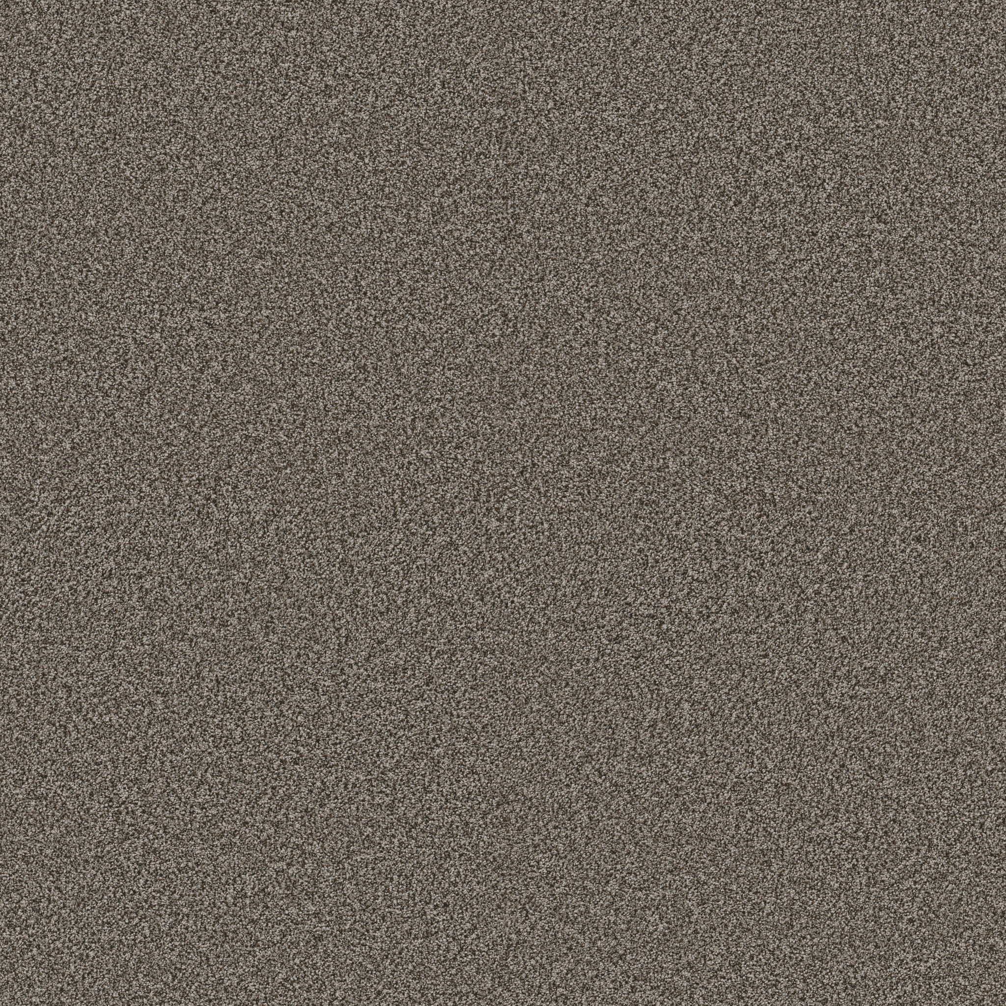 Kaleidoscope - 100% ANSO® High Performance PET in Trail Brown ...