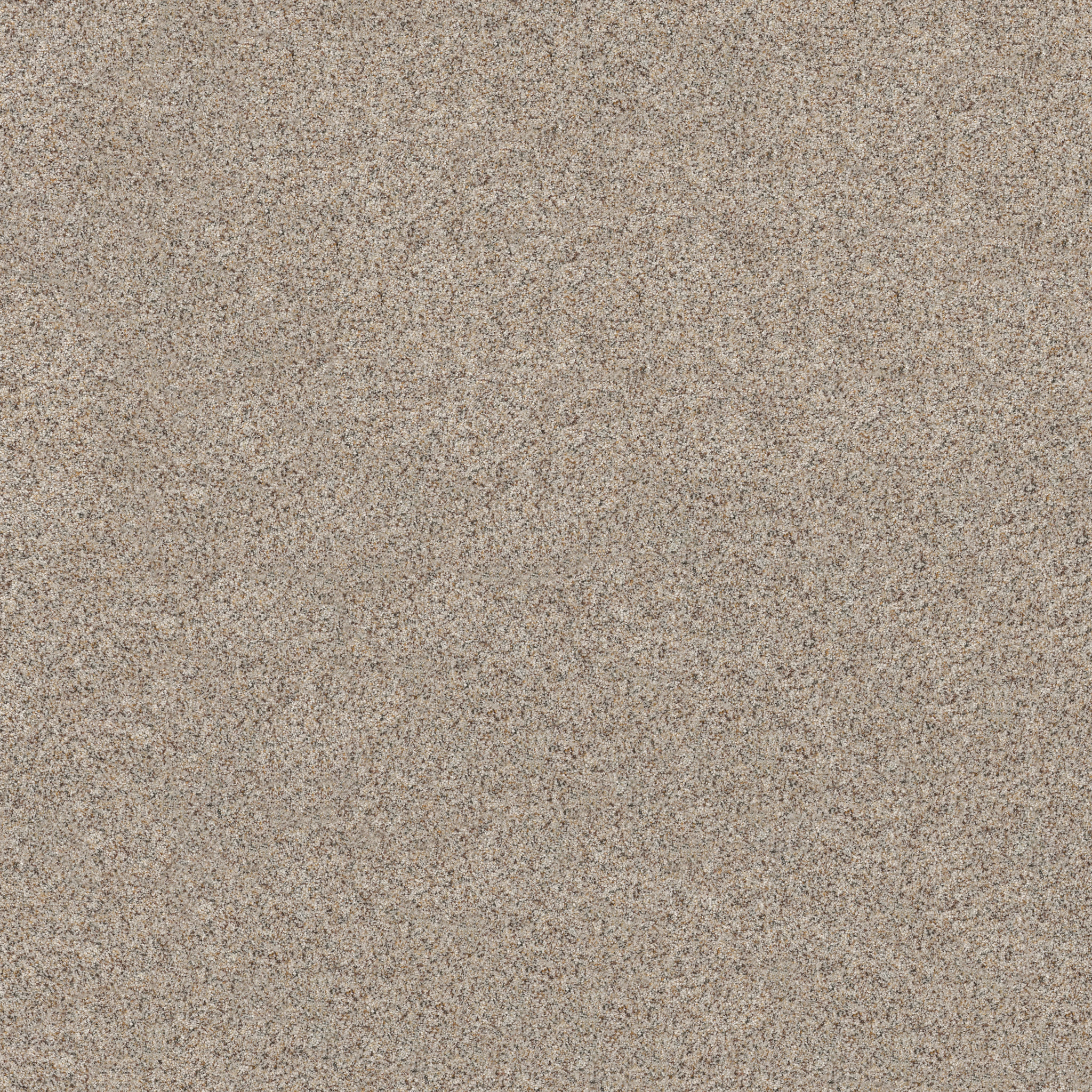 Topanga Canyon - 100% Anso® High Performance Nylon in Eclipse | AndersonTuftex