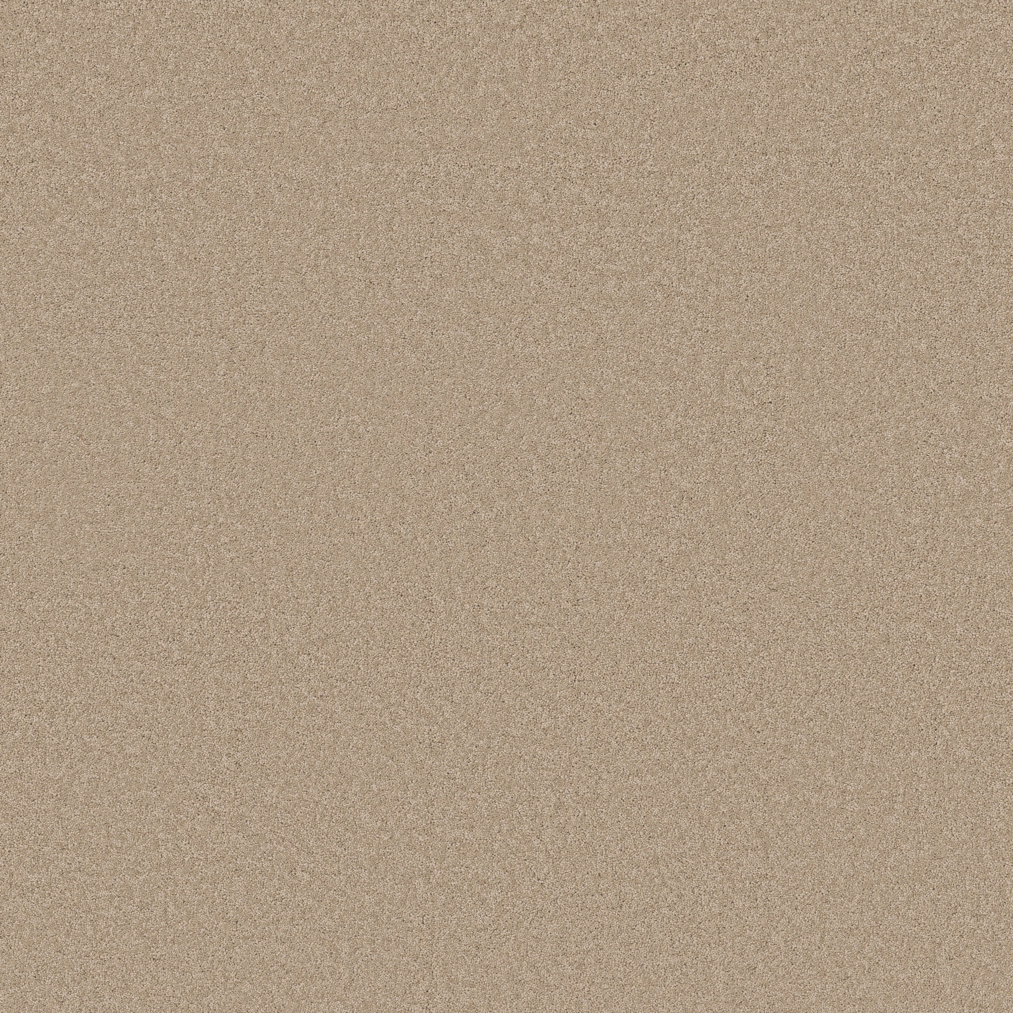 Enduring Charm - 100% ANSO® High Performance Nylon in Buff | AndersonTuftex