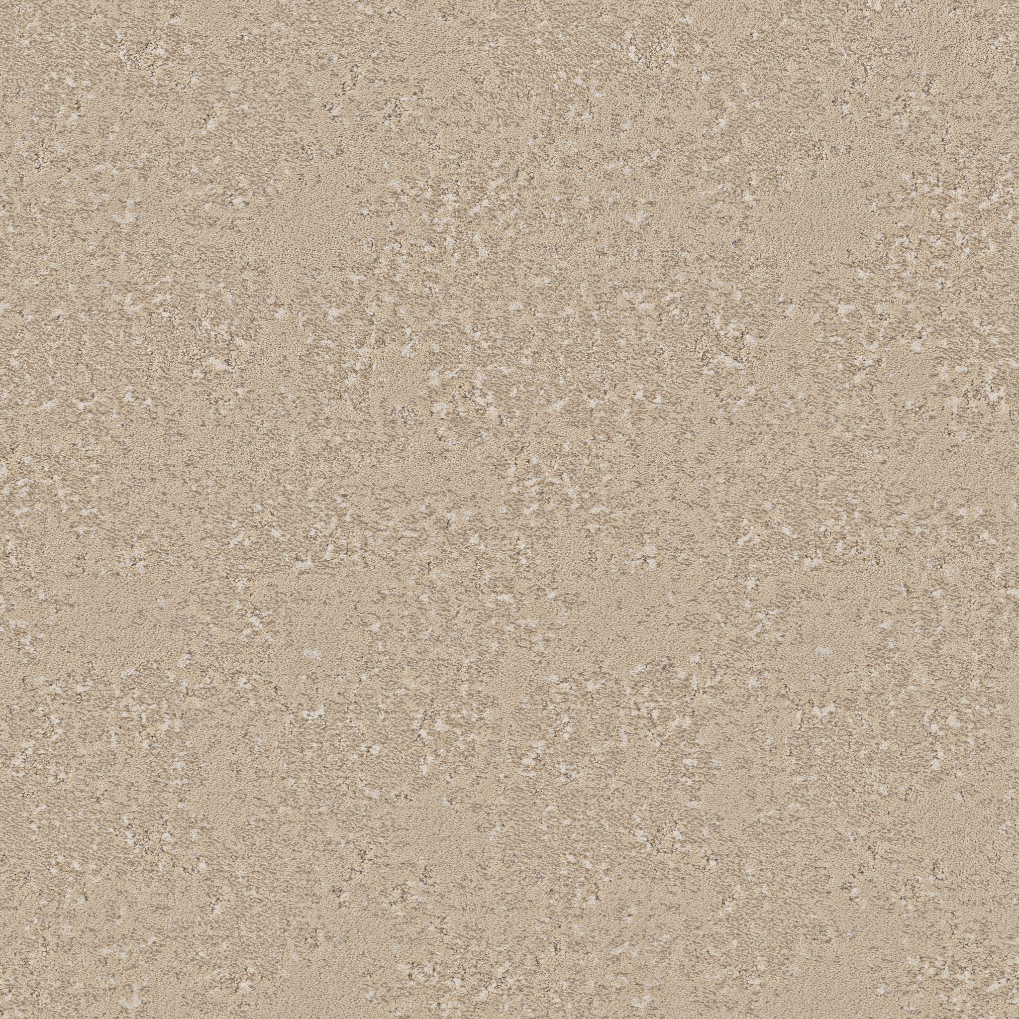 Fancy That - 100% ANSO® High Performance PET in Pale Almond ...