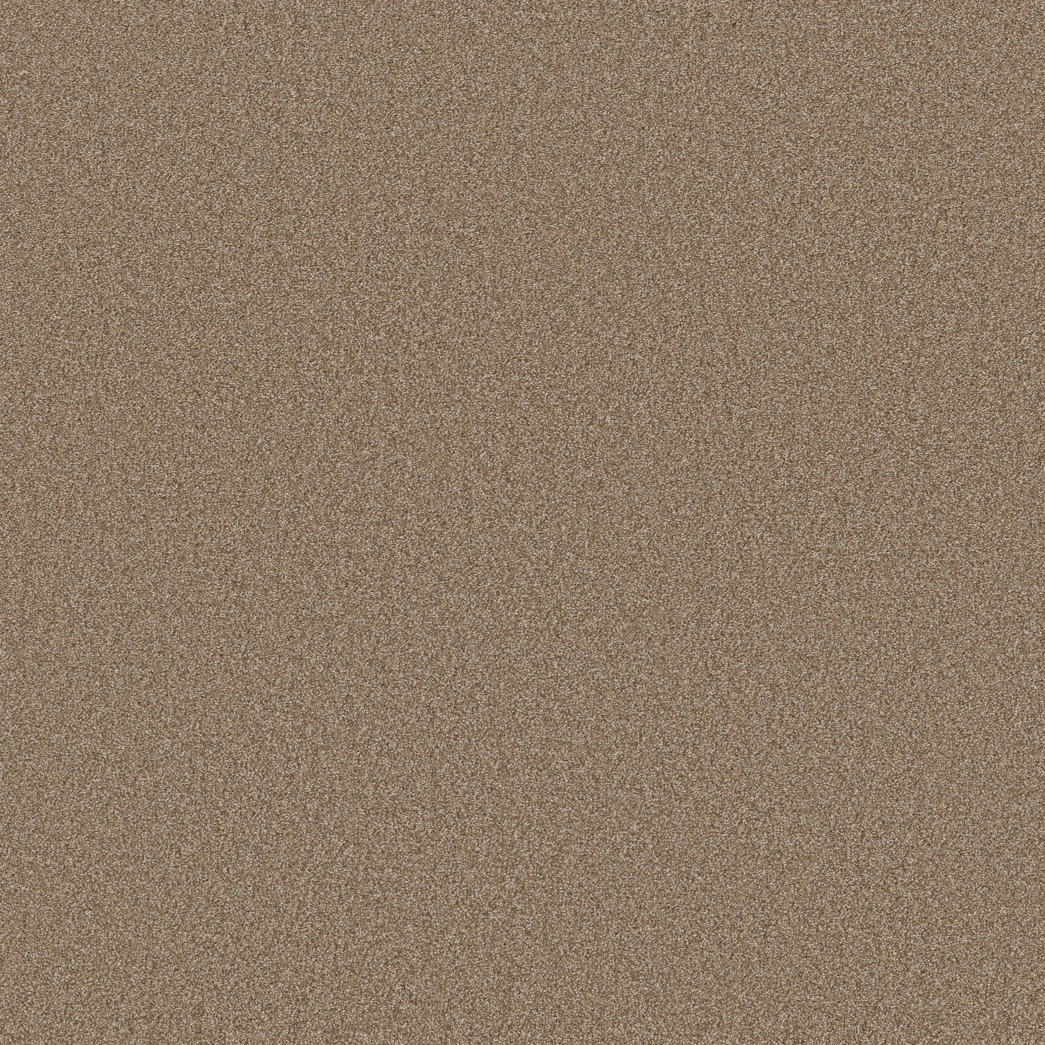 Cypress Falls - Carpet & Rugs in Terra | AndersonTuftex