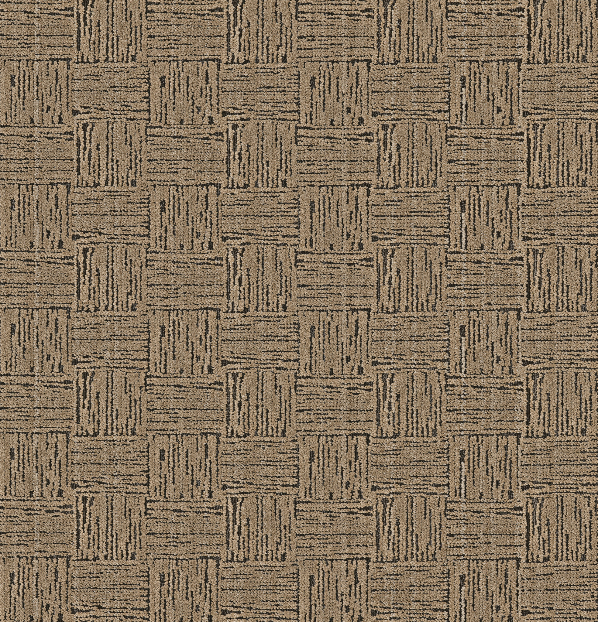 Moderne - 100% ANSO® High Performance PET in Palace | AndersonTuftex