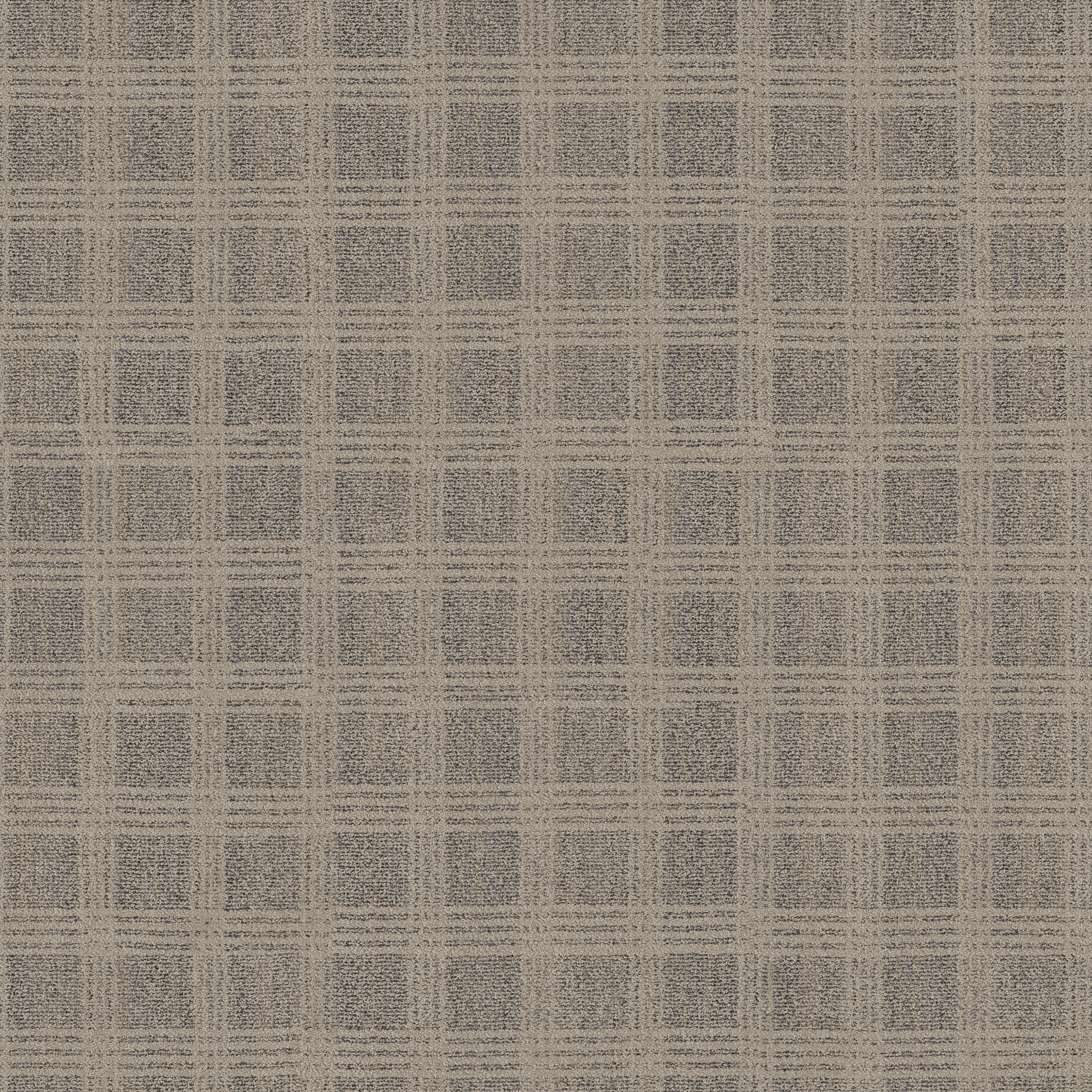 Collab - 100% ANSO® High Performance PET in Chic Taupe | AndersonTuftex