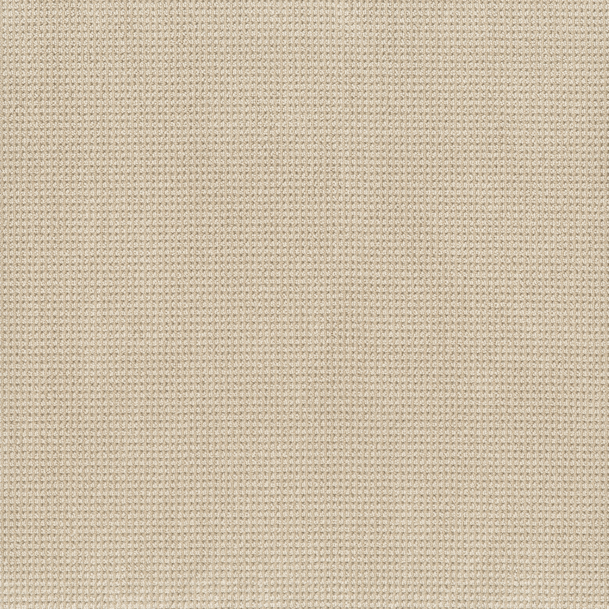 Inspired - Carpet for Stairs in Papyrus | AndersonTuftex