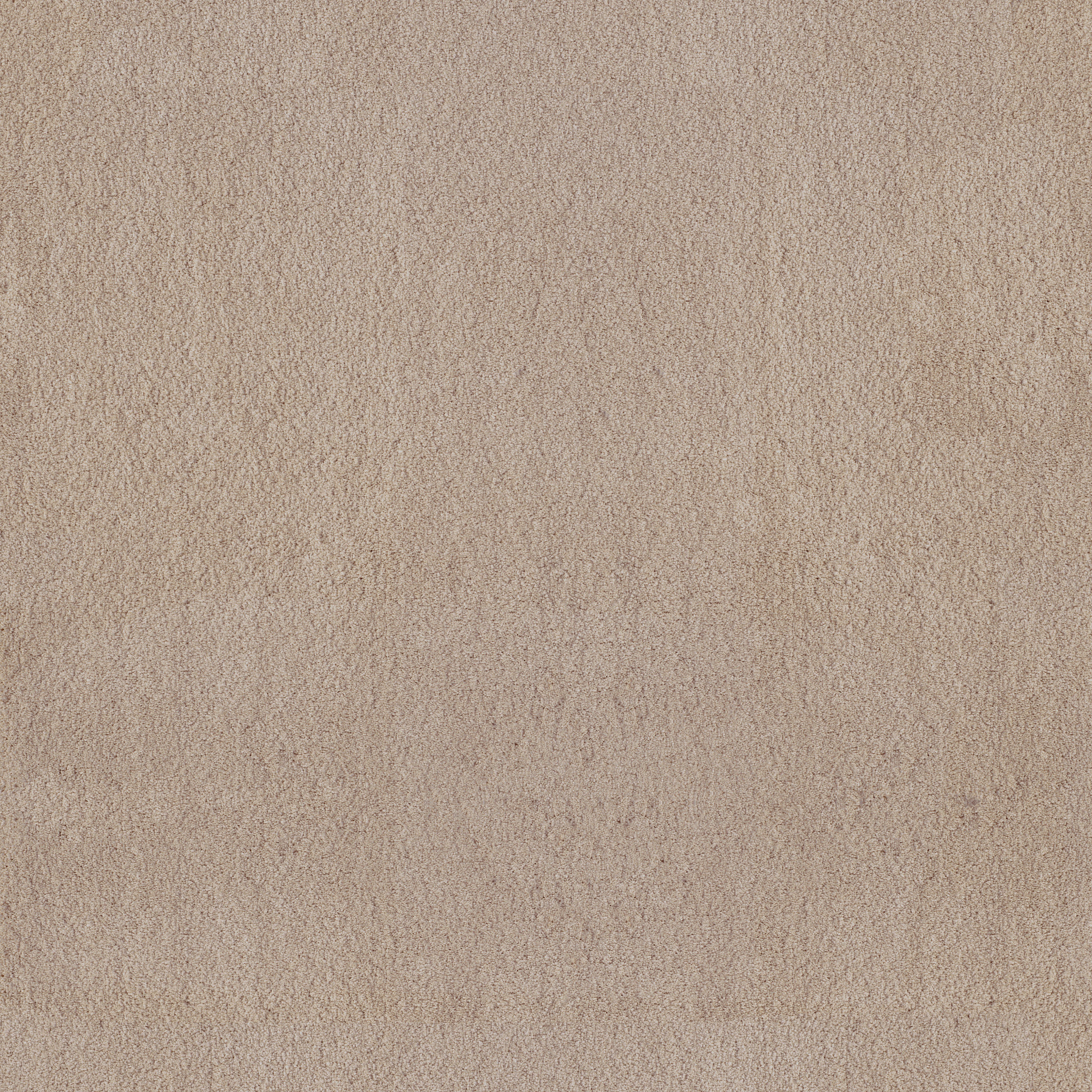 Luxe Feel Ii - Carpet & Rugs in Suede | AndersonTuftex