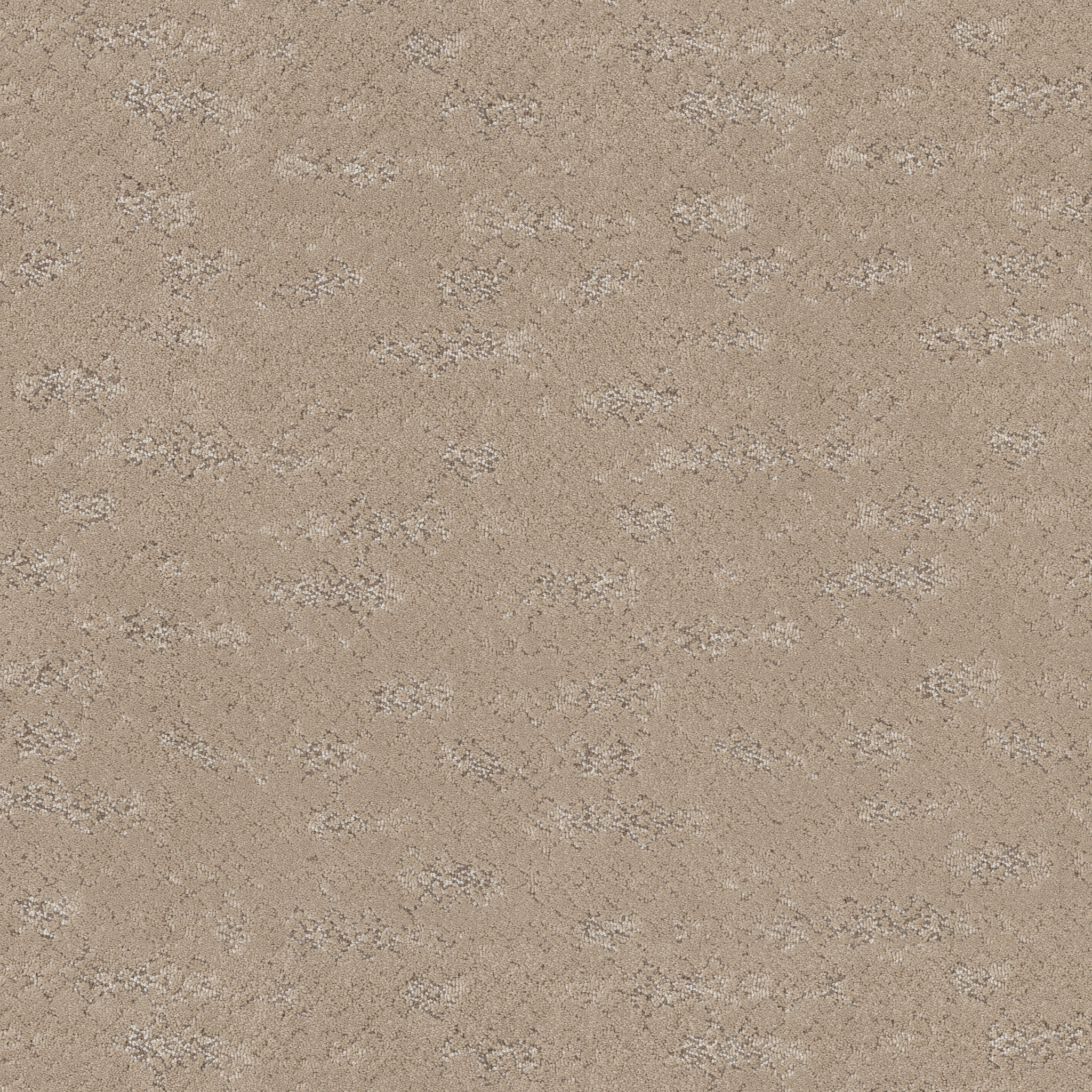 Evoke - 100% ANSO® High Performance PET in Fresh Bread | AndersonTuftex