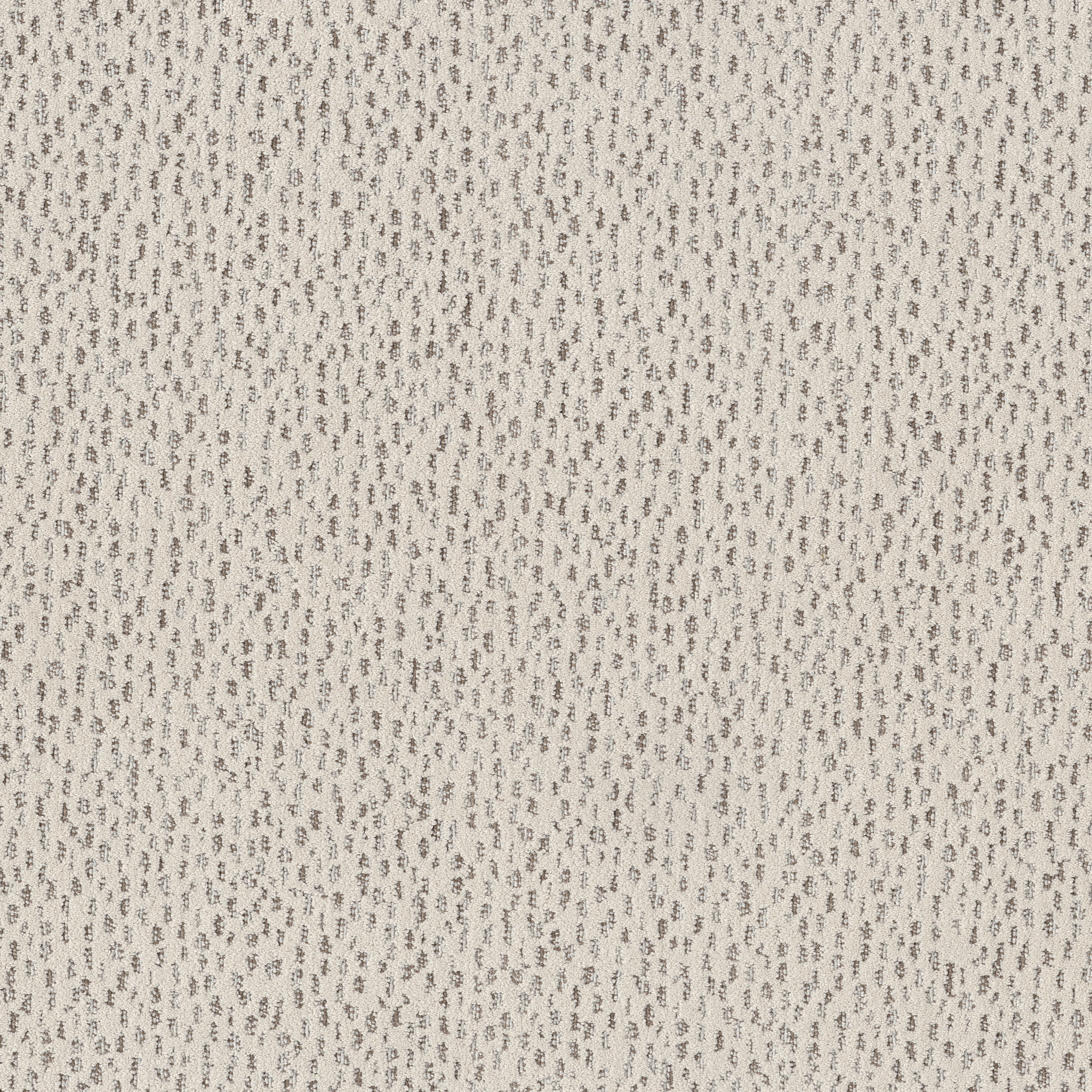 Ambitious - 100% ANSO® High Performance PET in Canvas | AndersonTuftex