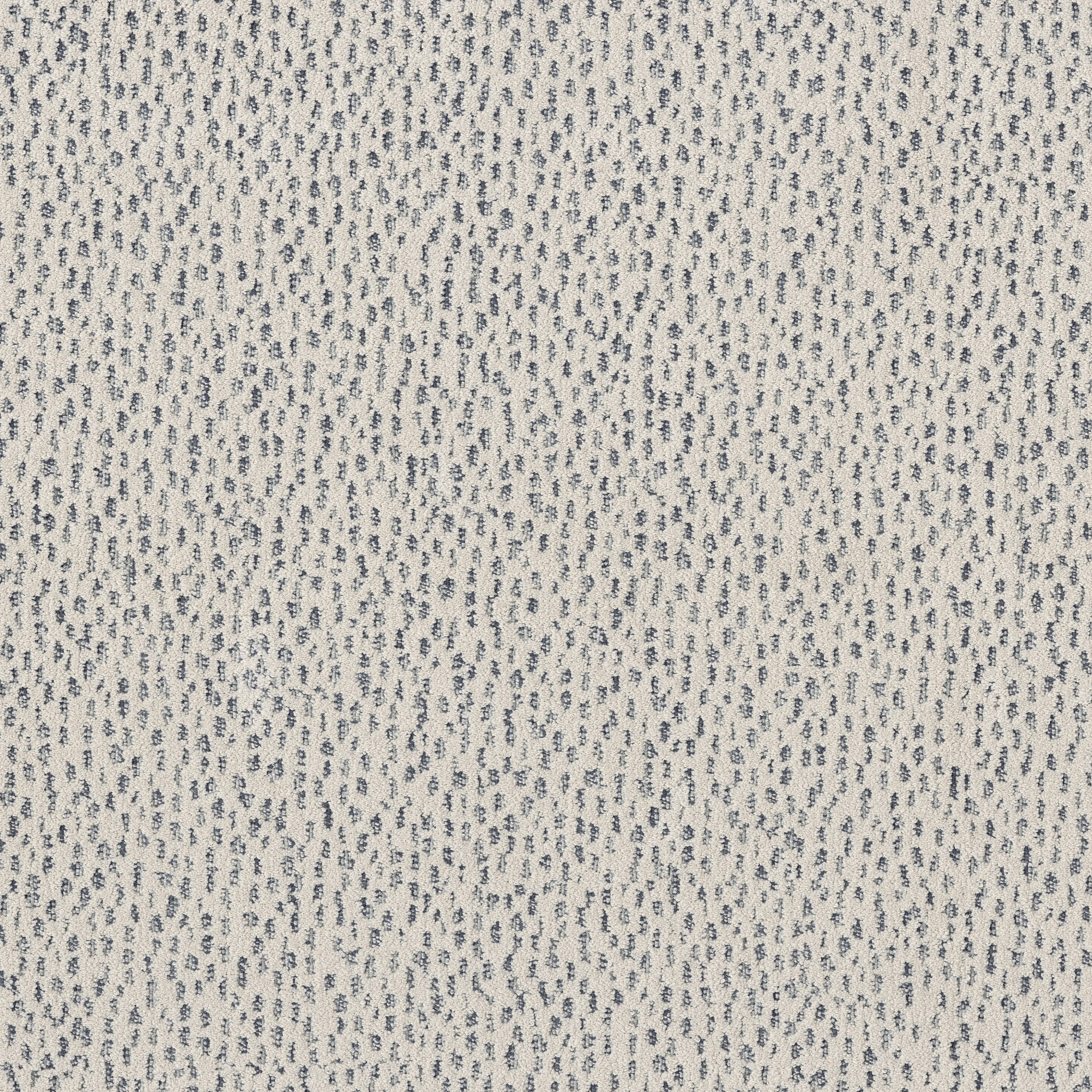 Ambitious - 100% ANSO® High Performance PET in Serenity | AndersonTuftex