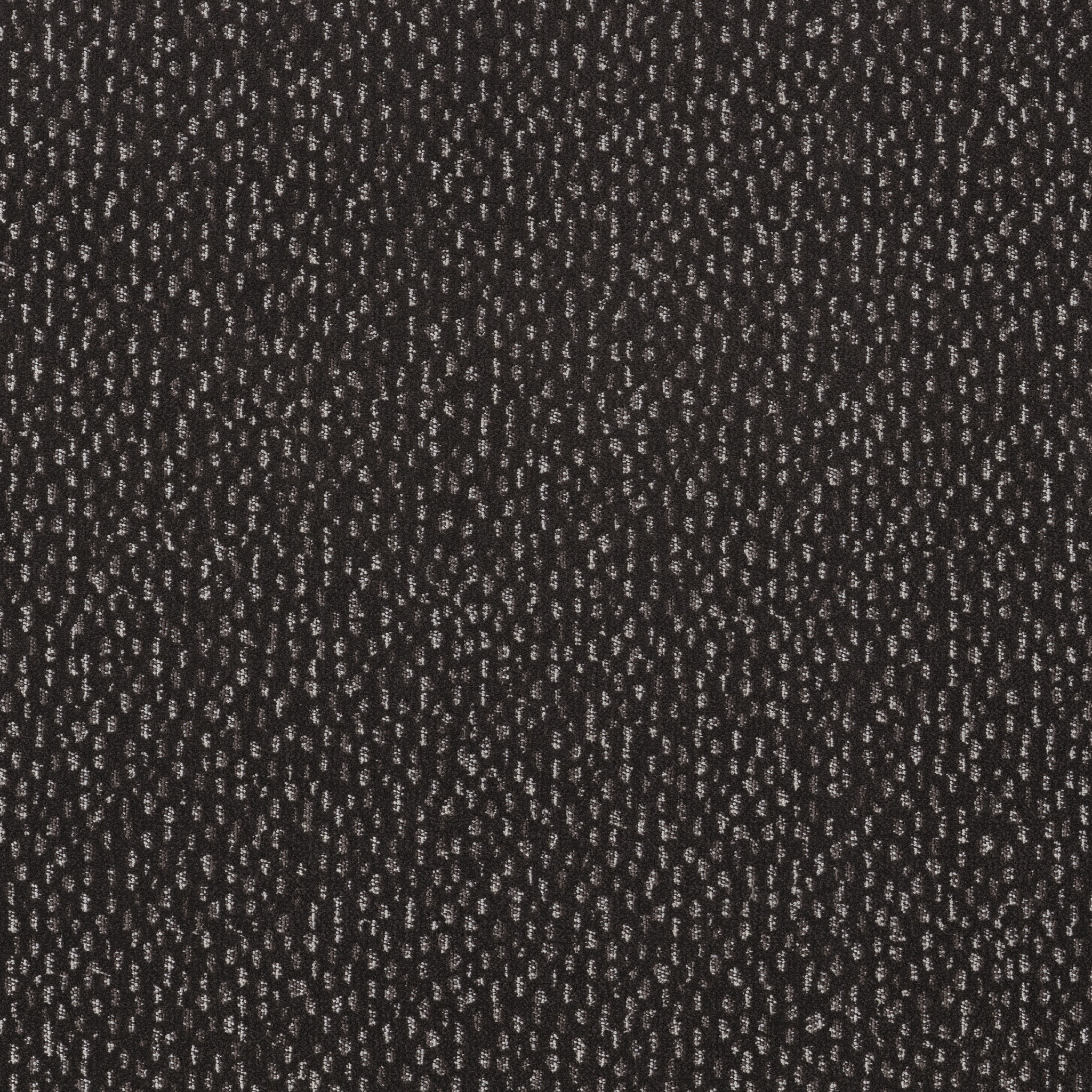 Ambitious - 100% ANSO® High Performance PET in Charcoals | AndersonTuftex