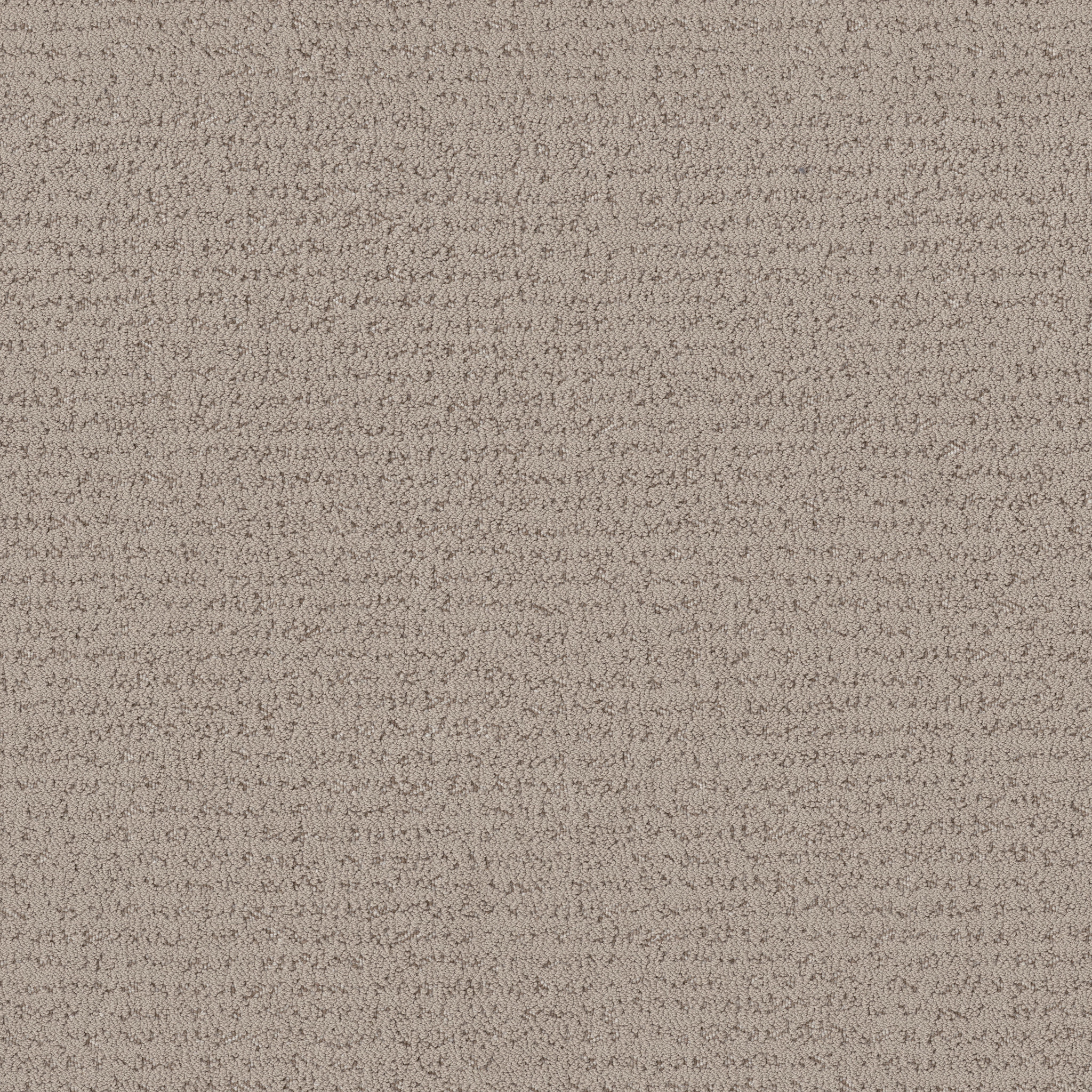 Tangent - 100% ANSO® High Performance PET in Pebble Path | AndersonTuftex