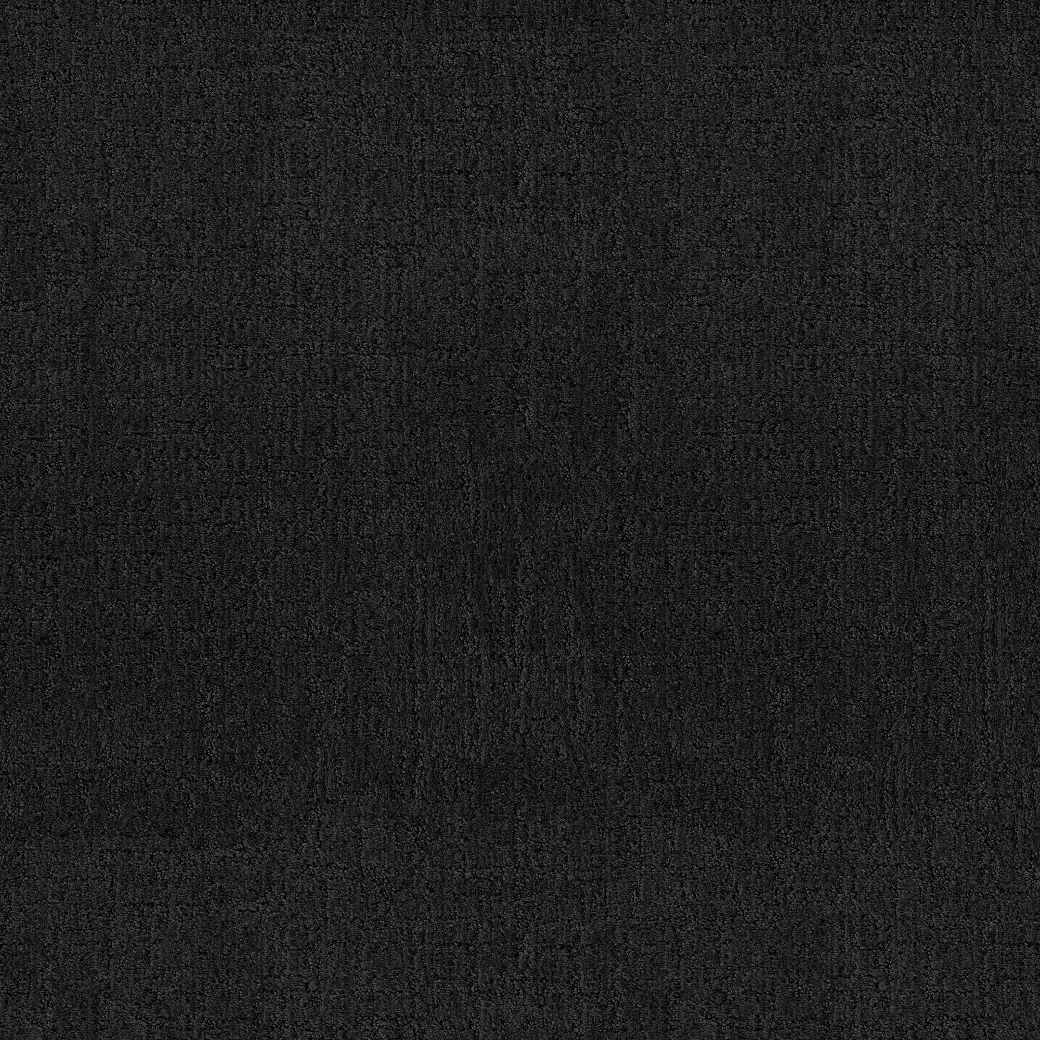 Indulgent - Carpet for Stairs in Vip Lounge | AndersonTuftex