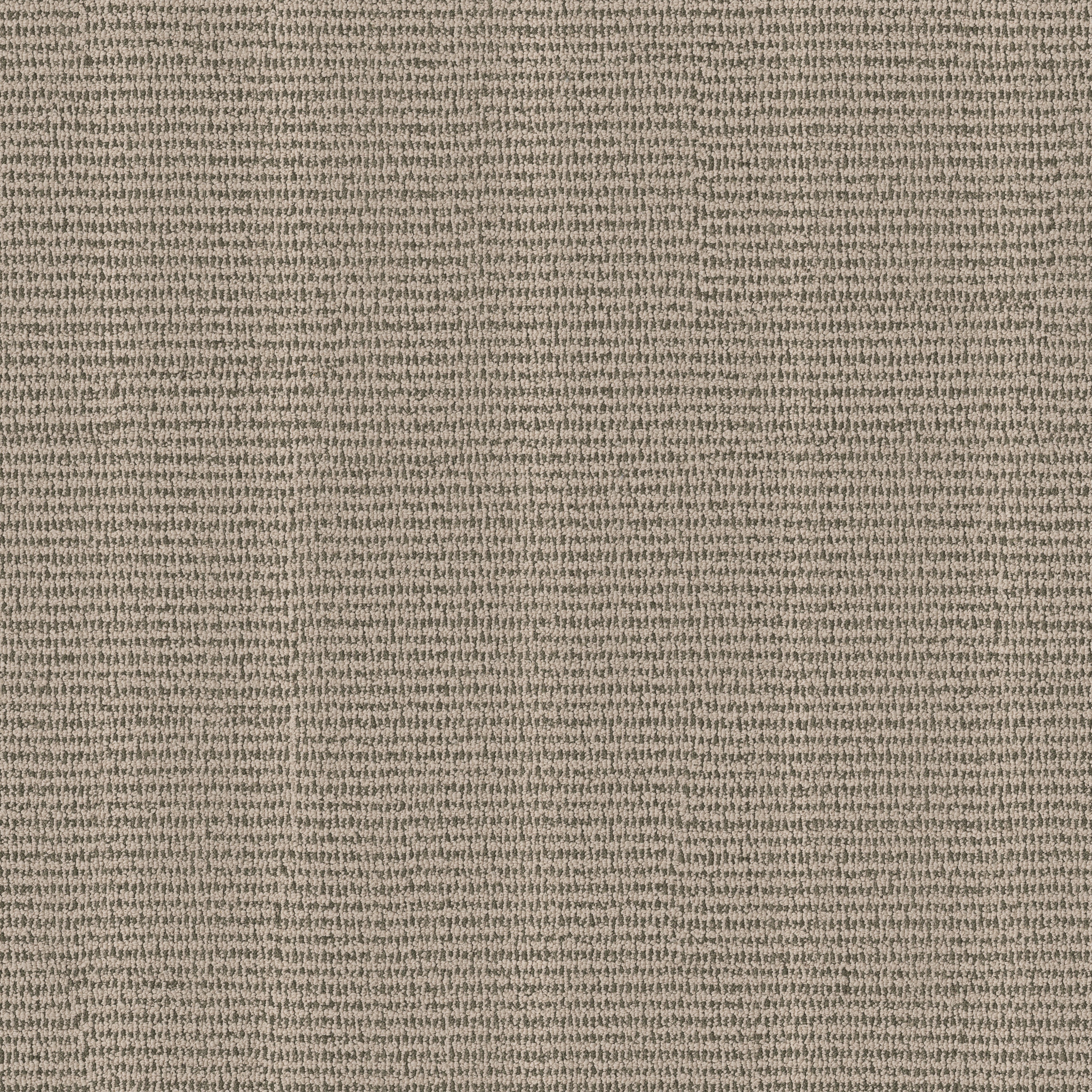 Laine - 100% ANSO® High Performance PET in Palmetto | AndersonTuftex