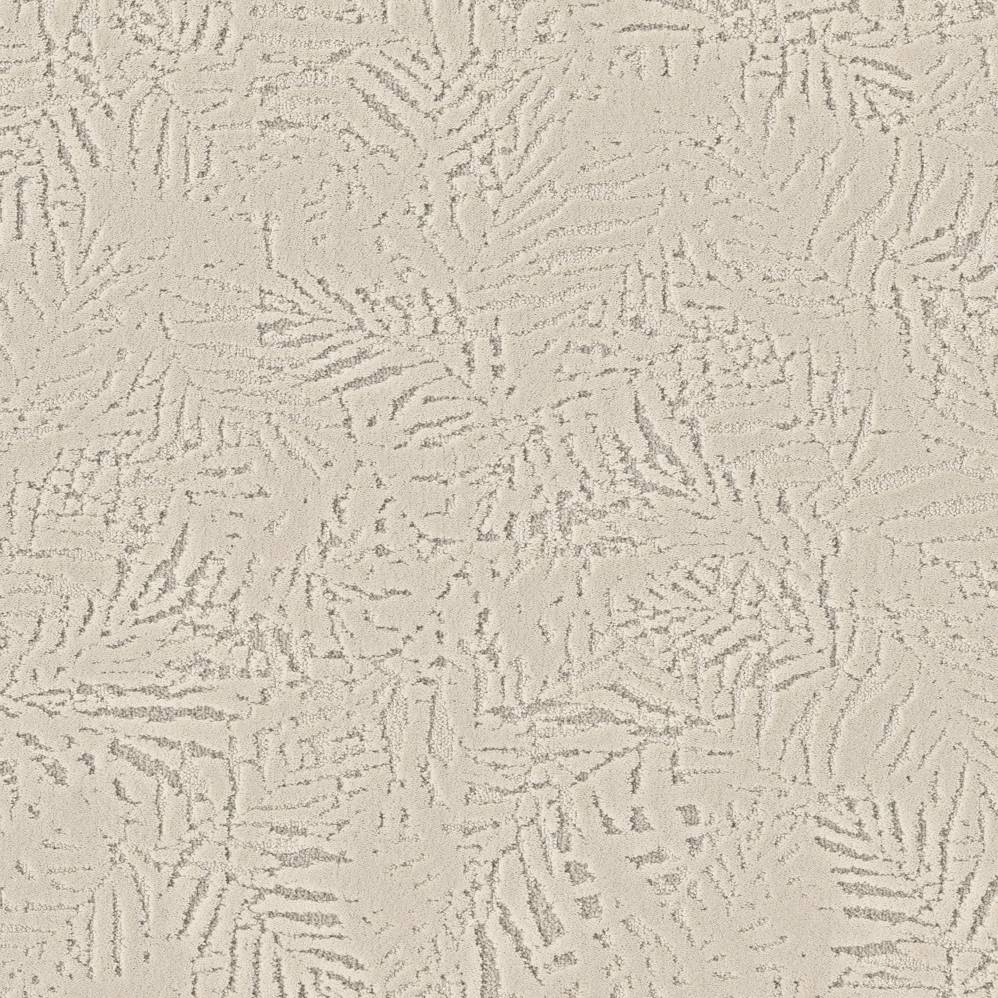 Autograph - Carpet & Rugs in Elegance | AndersonTuftex