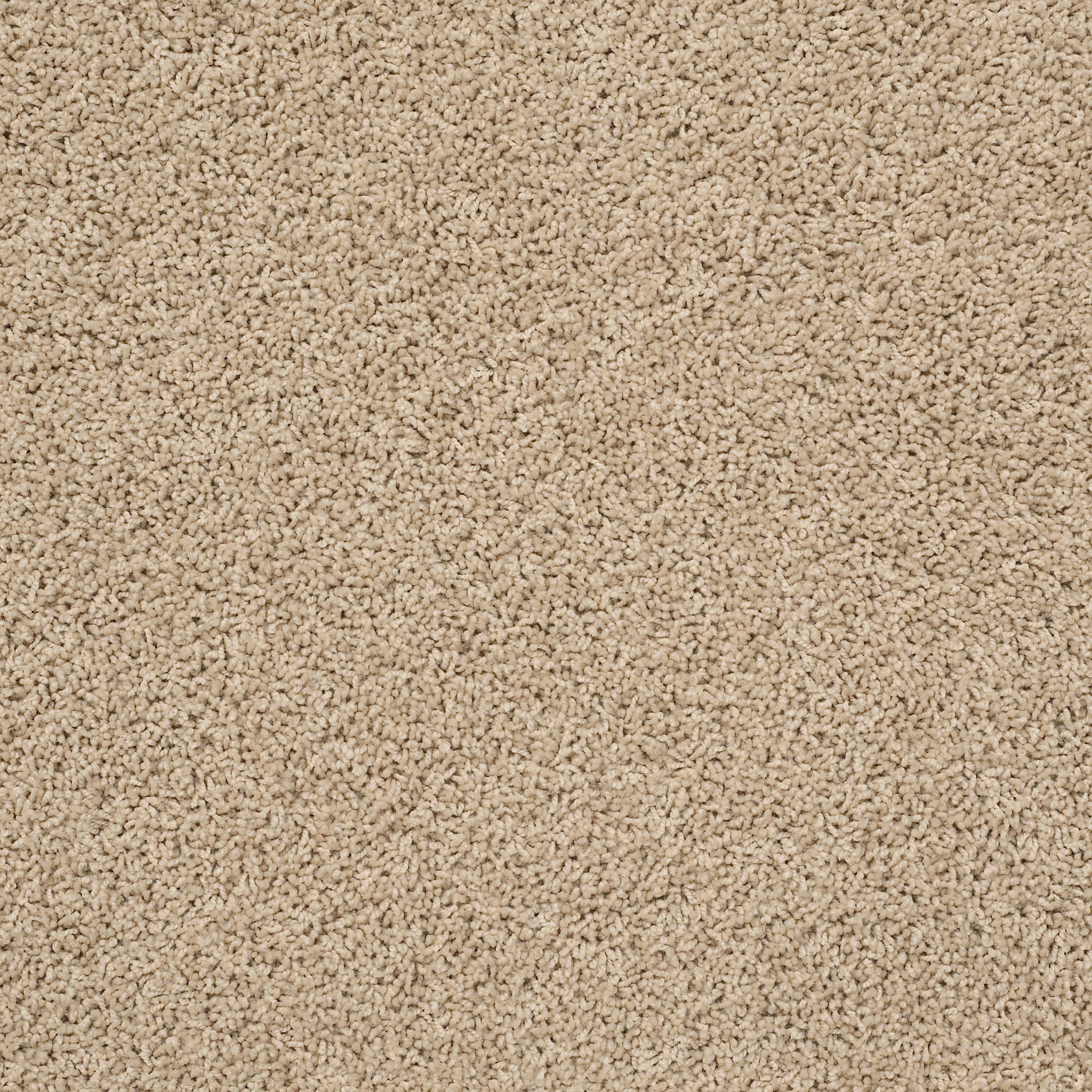 zara - ceramic_glaze | carpets | zzb21-00171 | Shaw Builder Flooring