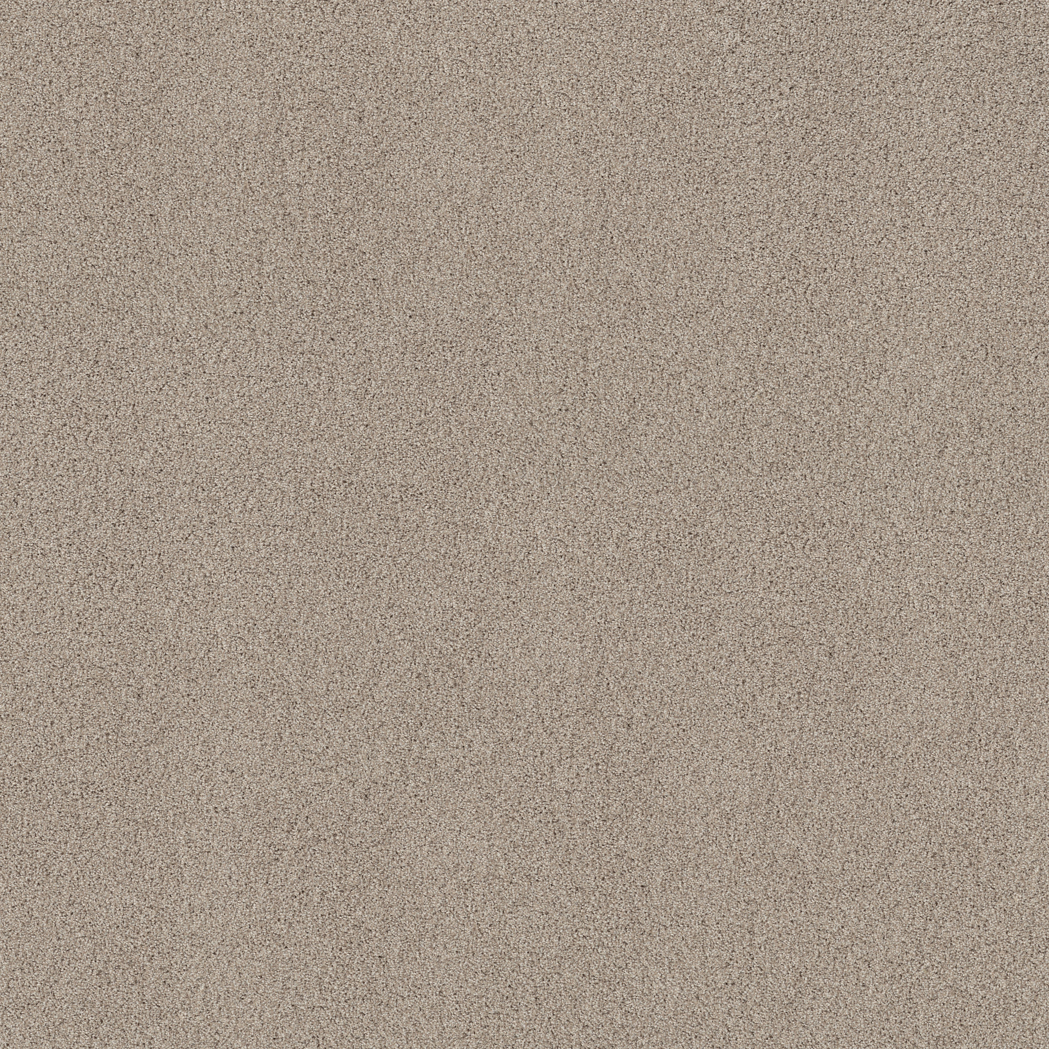 bay_bridge - smoky_suede | carpets | zzb44-00712 | Shaw Builder Flooring
