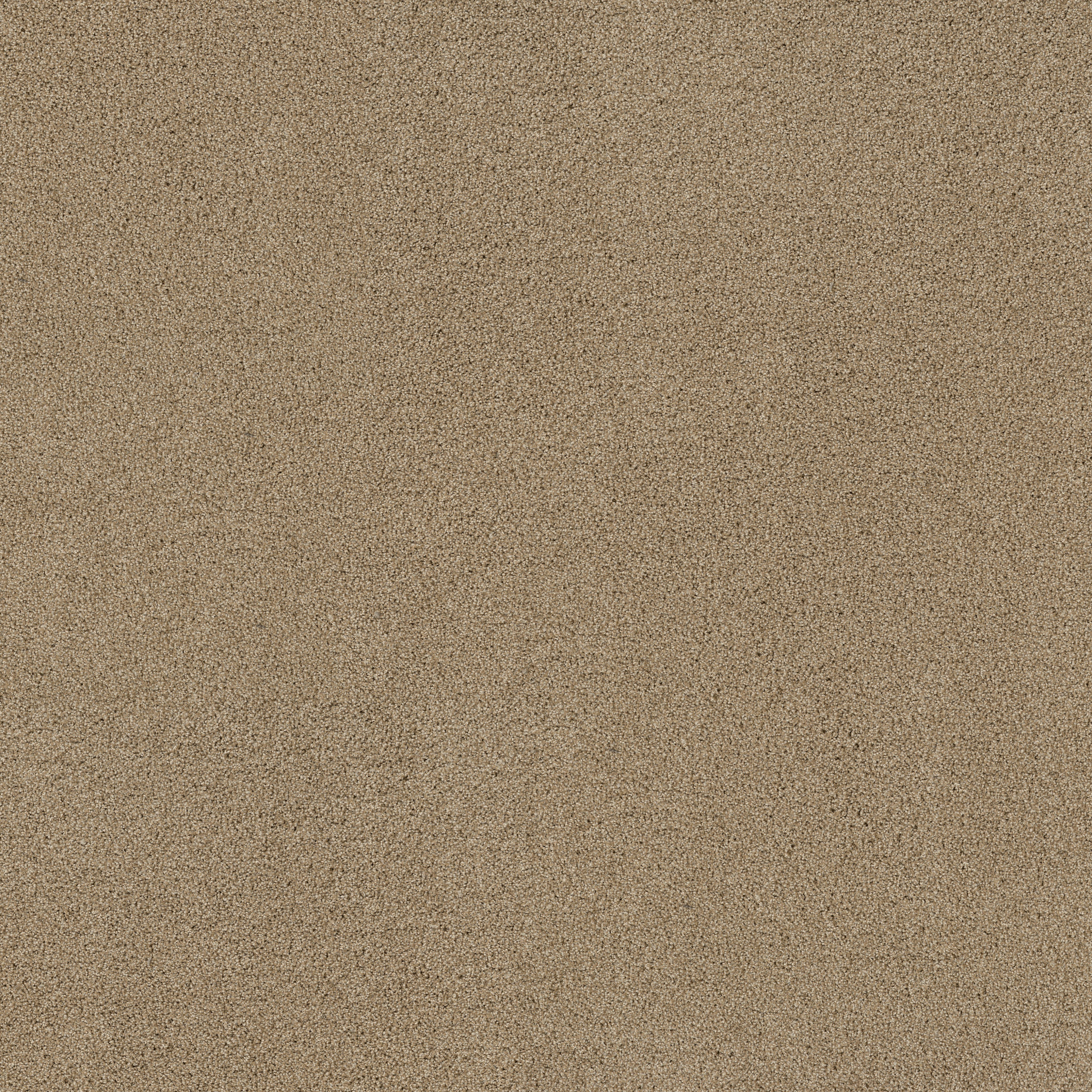 bay_bridge - serengeti | carpets | zzb44-00733 | Shaw Builder Flooring