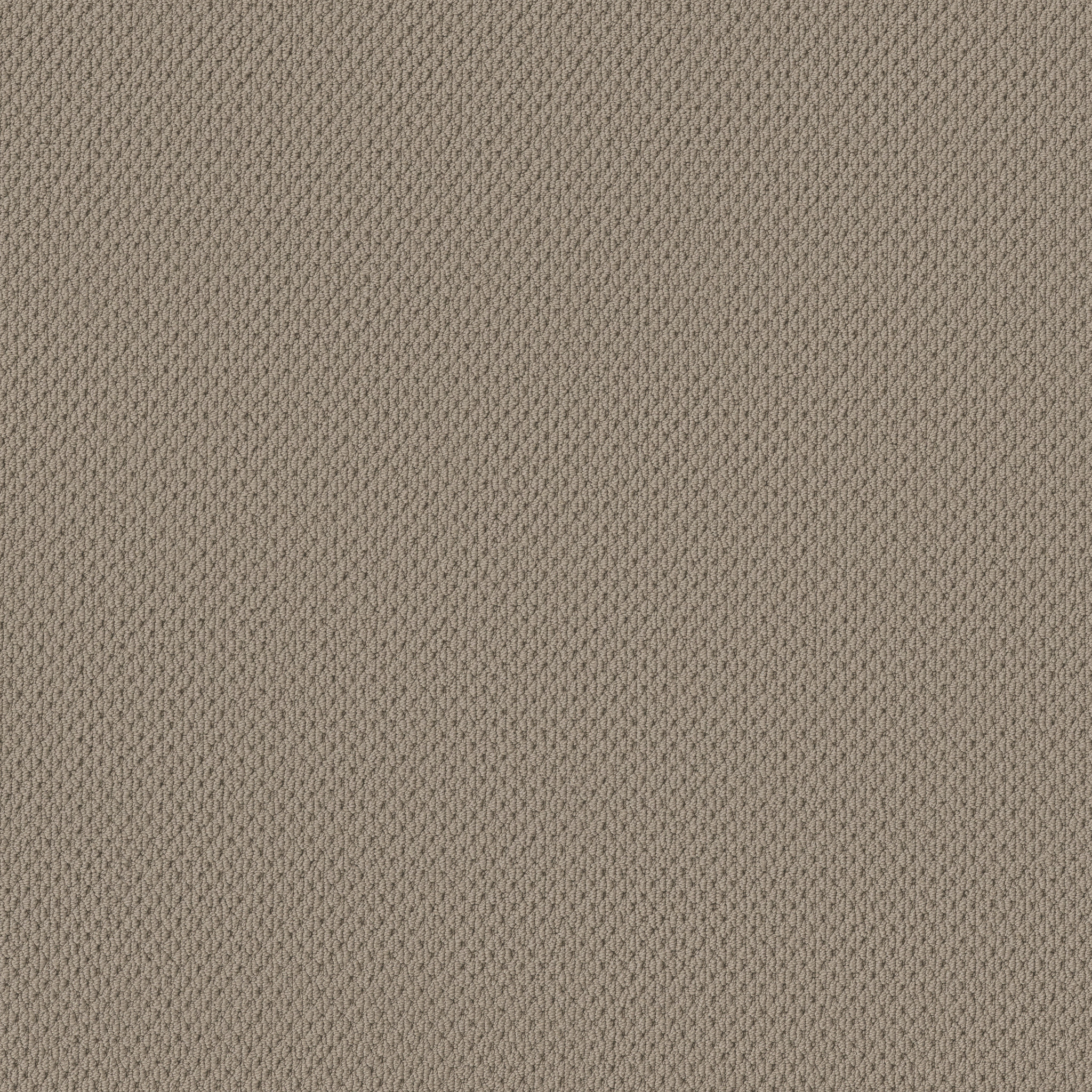 peak season - rockport | carpets | ZZB86-00774 | Shaw Builder Flooring