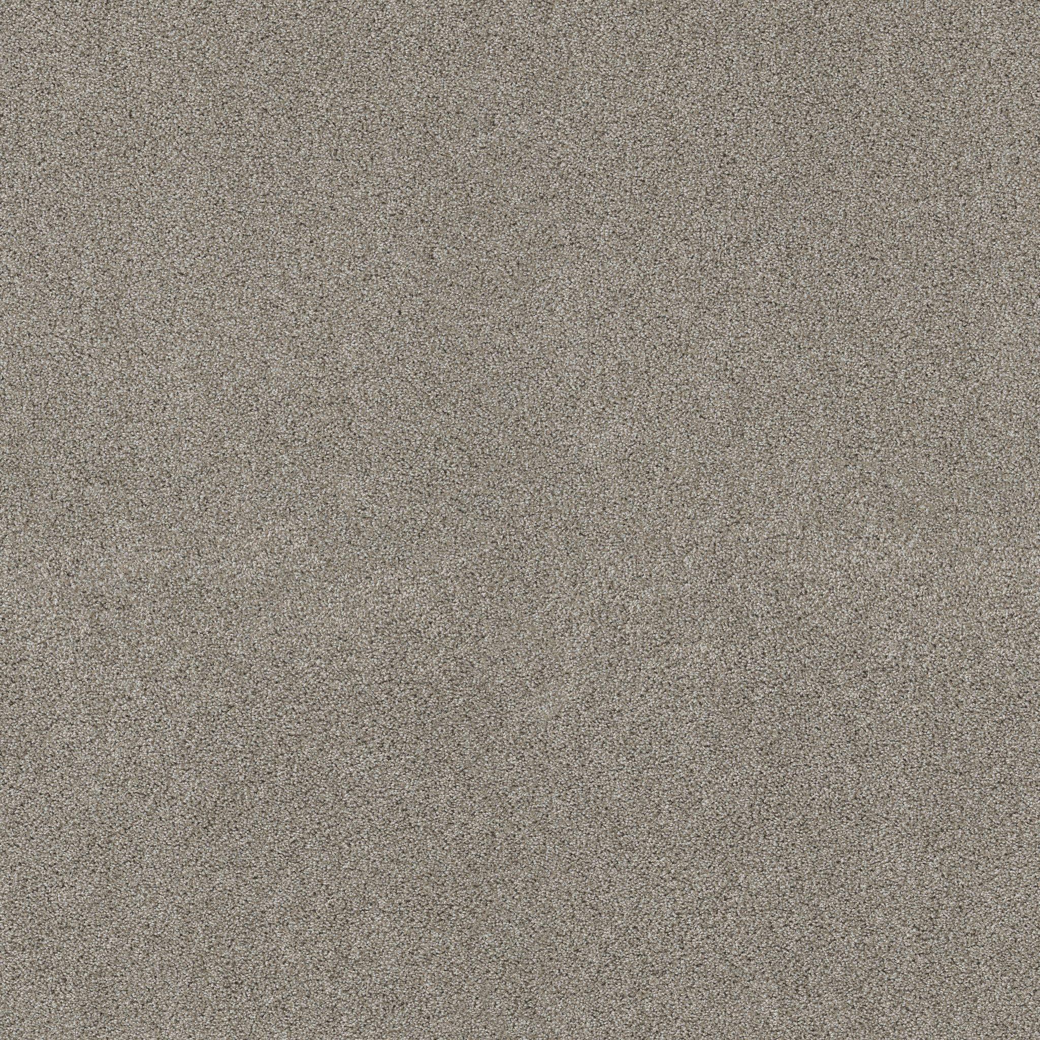 cove_creek - shadow | carpets | zzl43-00534 | Shaw Builder Flooring