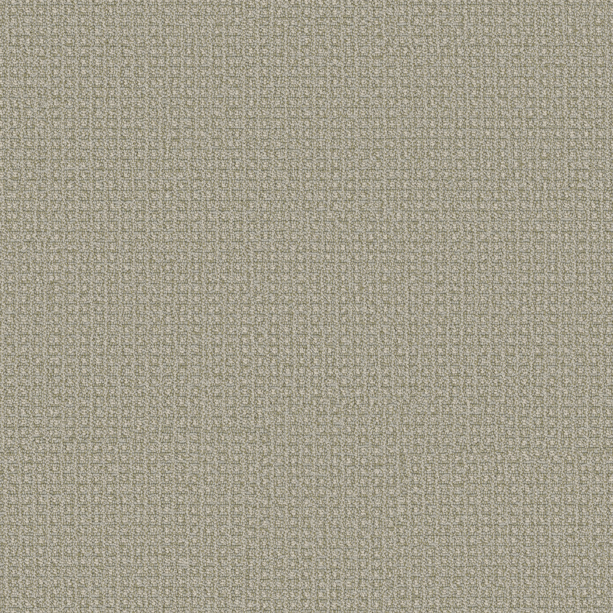 spotted - soft_fern | carpets | zzl74-00312 | Shaw Builder Flooring