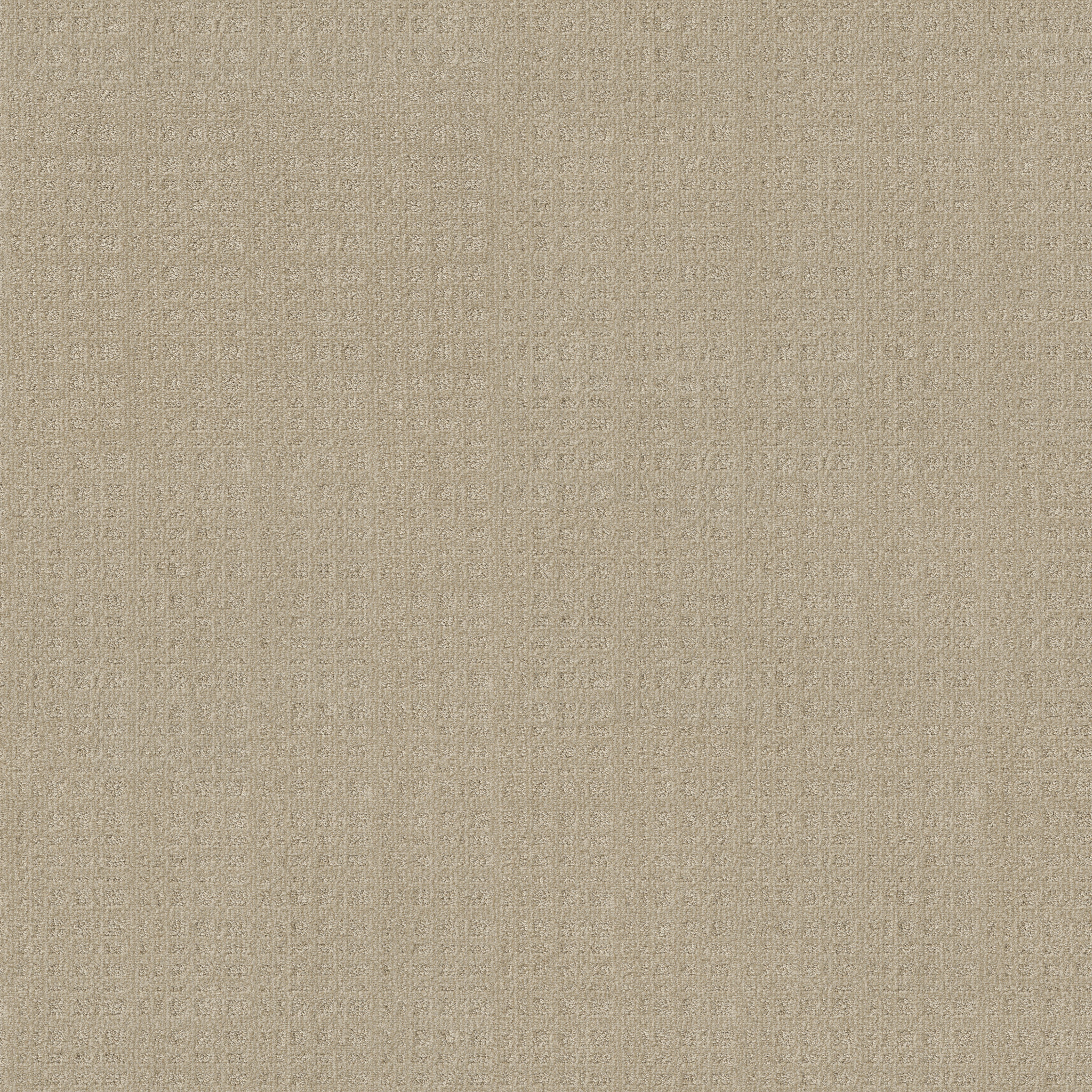 checkers - blonde | carpets | zzl82-00211 | Shaw Builder Flooring
