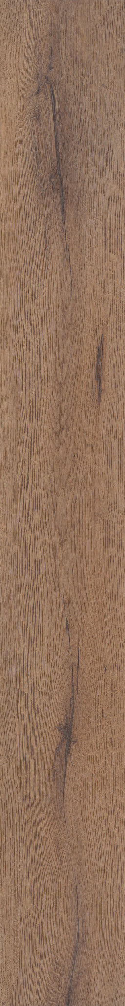 COREtec Originals - Sand Dollar Oak - Customer Pick
